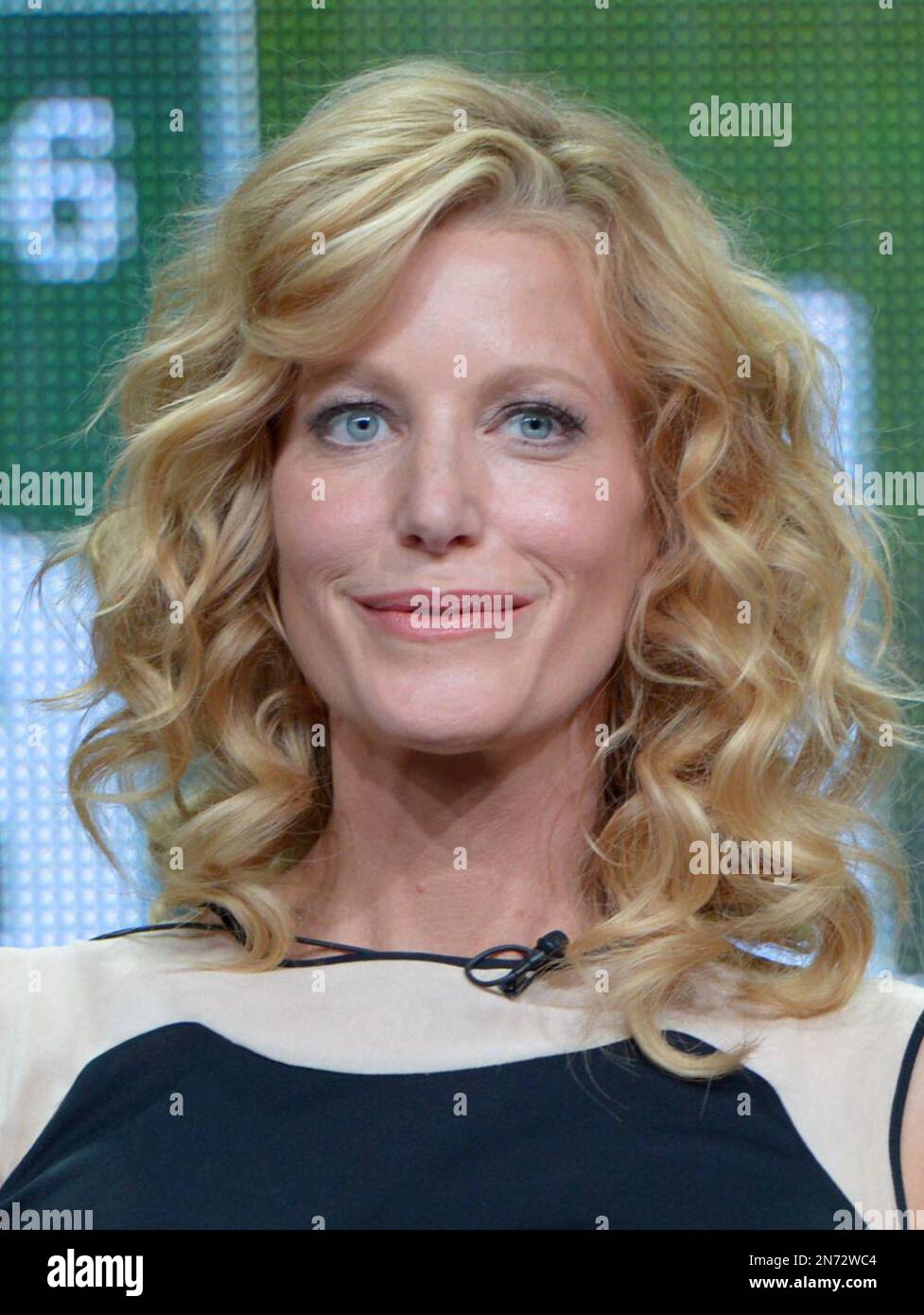 Actress Anna Gunn on the "Breaking Bad" panel at AMC TCA Panel at the ...
