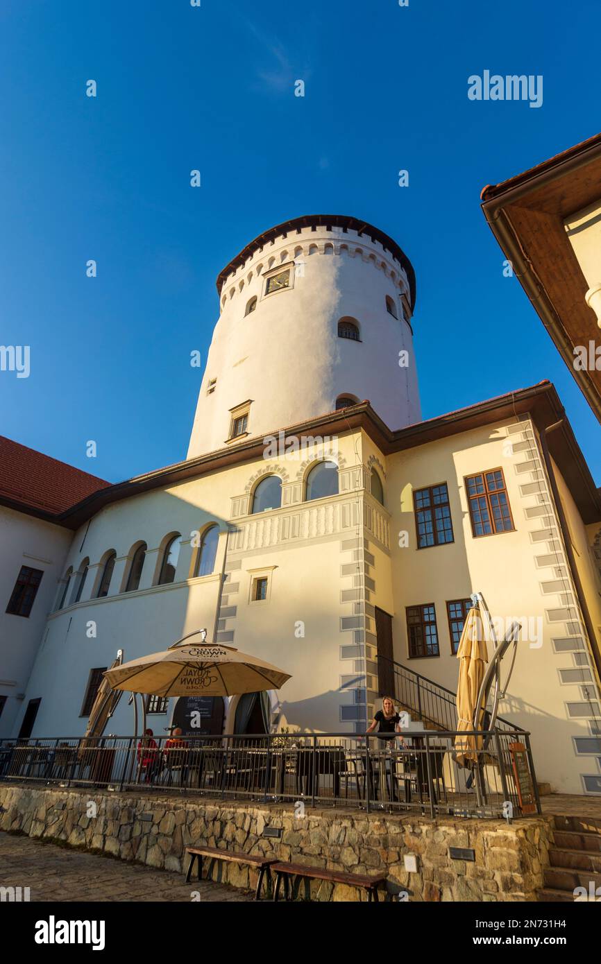 Zilina (Sillein, Silein), Budatin Castle (Budatinsky zamok) in Slovakia ...