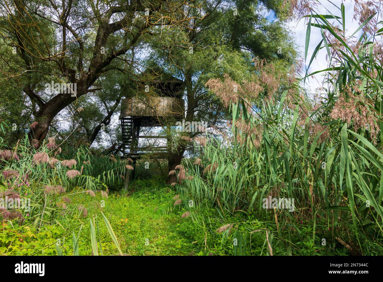 Szigetköz (Little Rye Island, Kleine Schüttinsel), observation tower ...