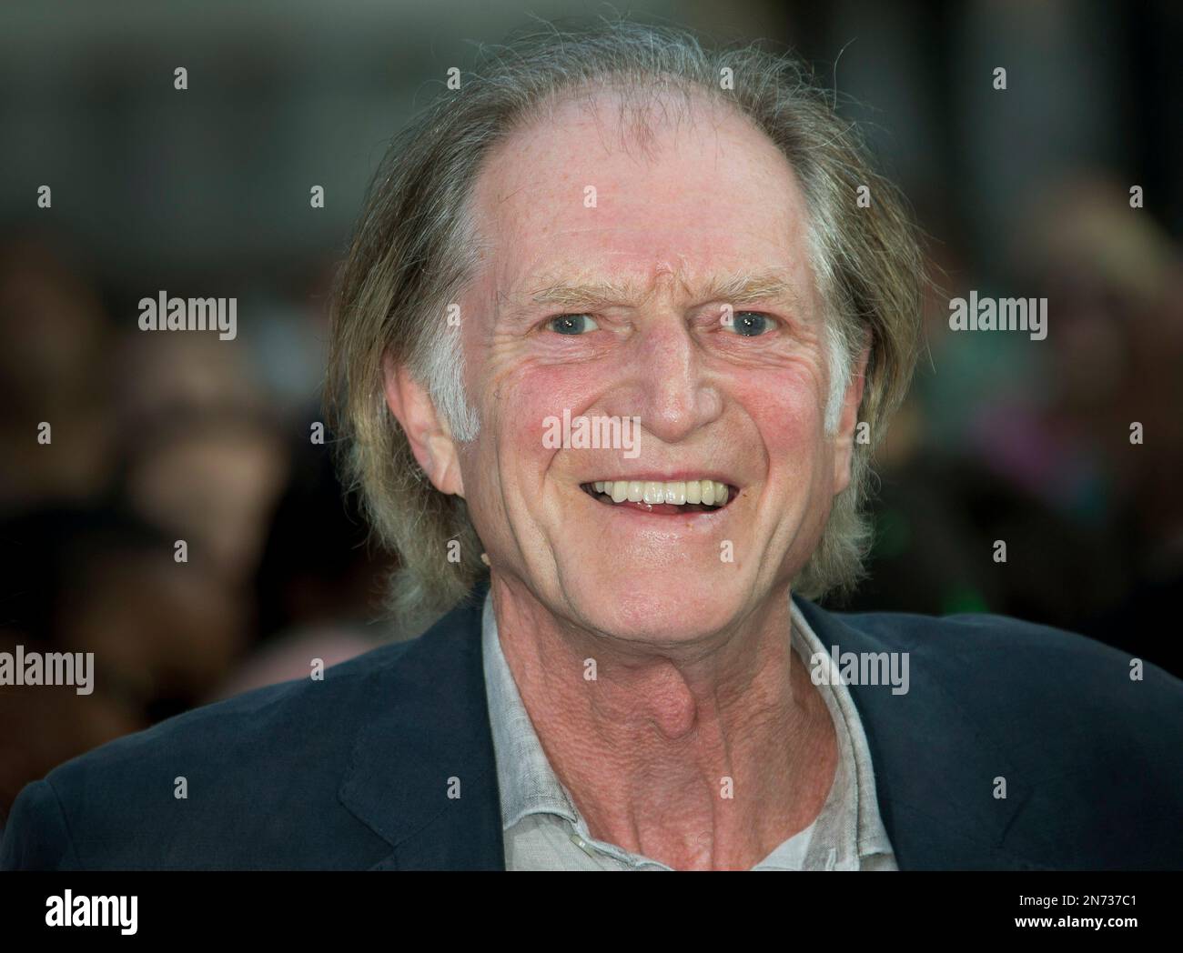 FILE - This July 10, 2013 file photo shows actor David Bradley at the ...