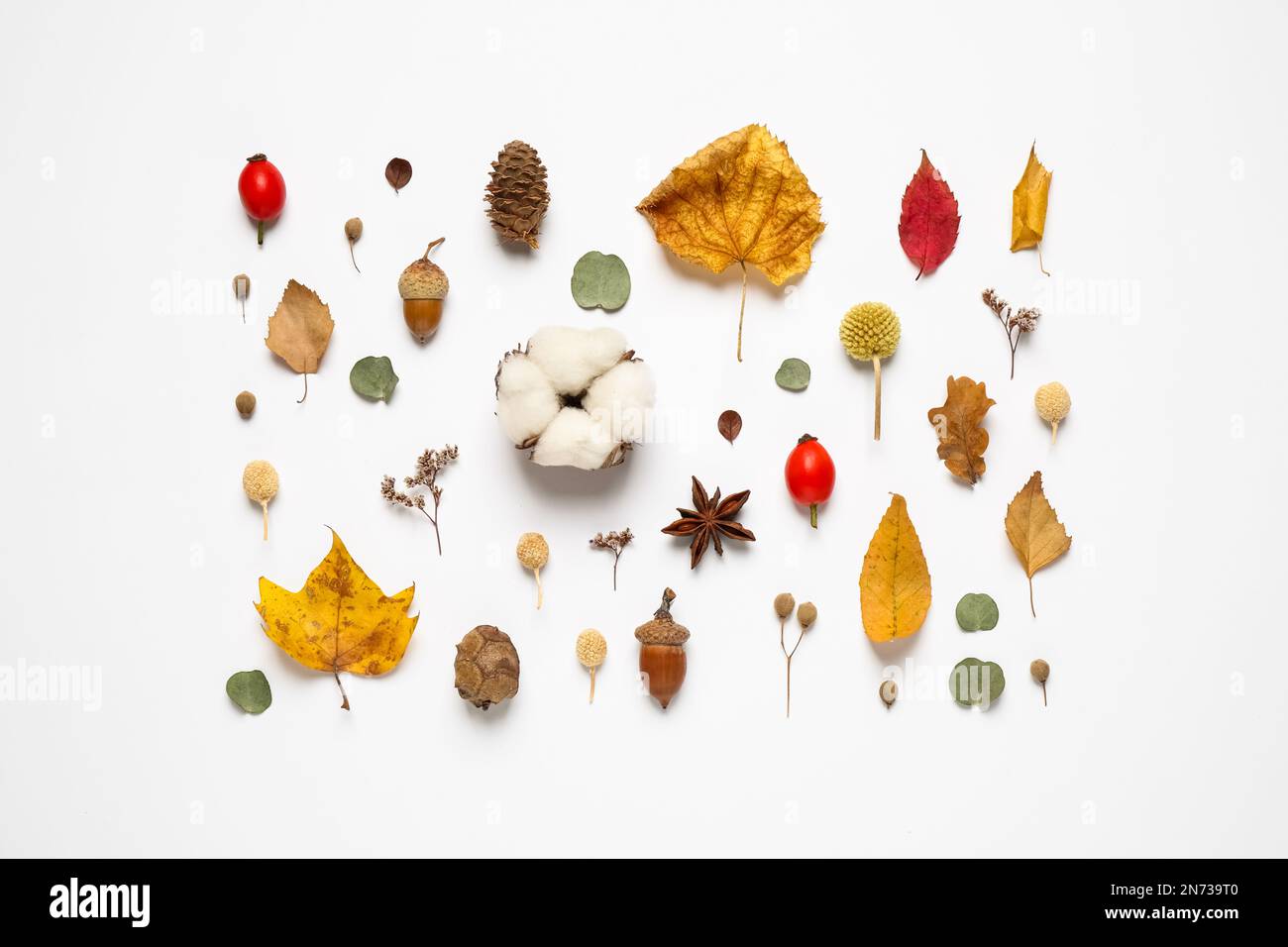 Flat lay composition with autumn leaves on white background Stock Photo ...