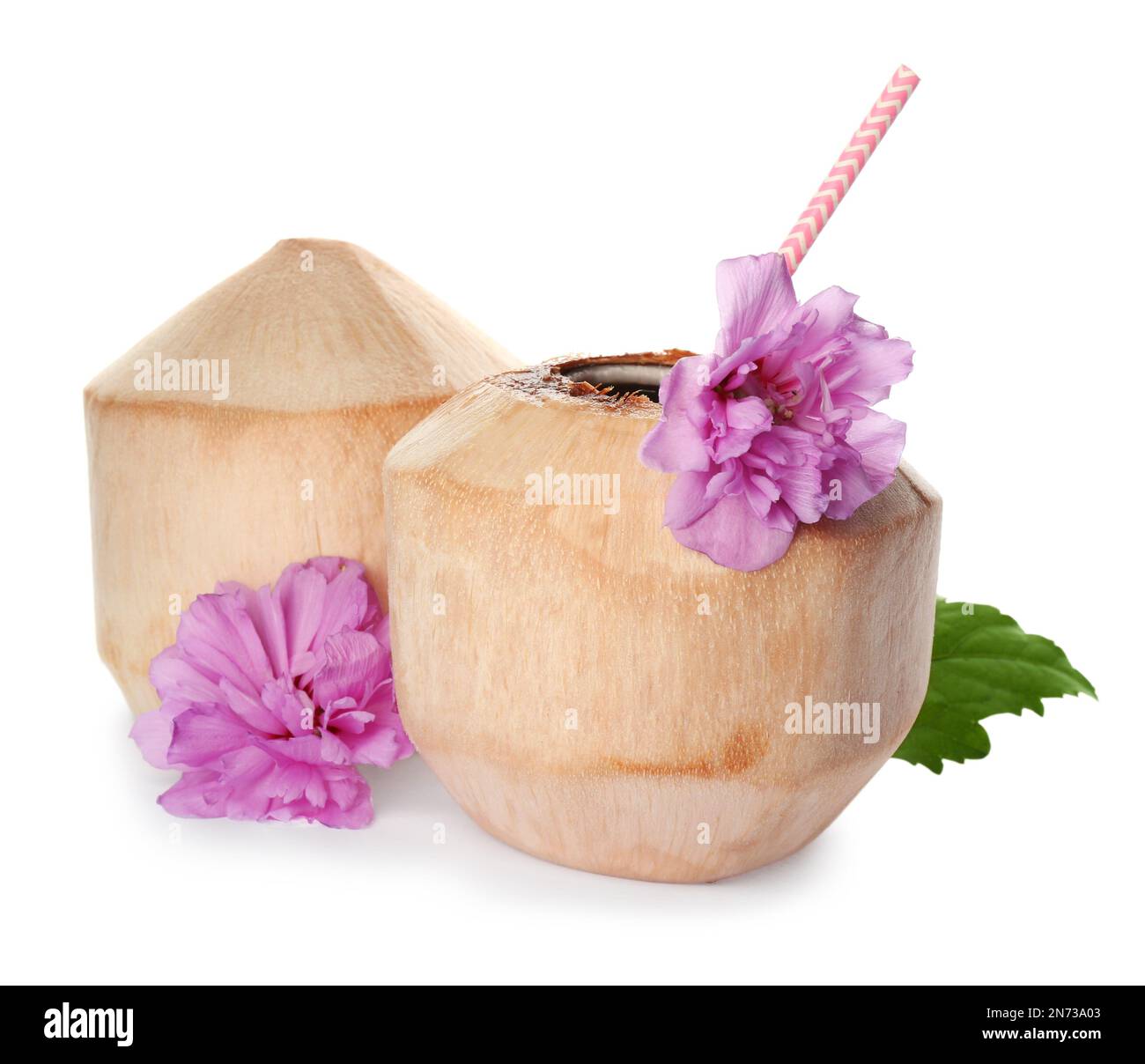 Straw leaf Cut Out Stock Images & Pictures - Alamy