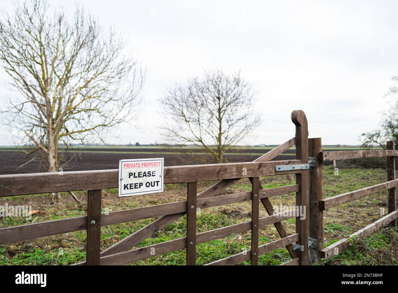 Trespassing field horse hi-res stock photography and images - Alamy