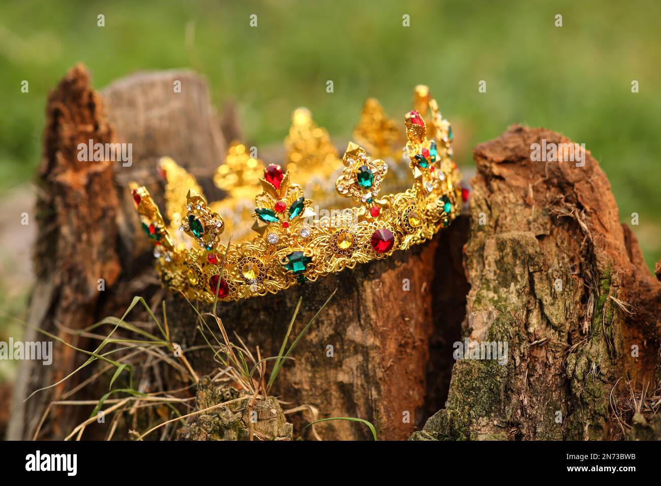 Beautiful golden crown on hi-res stock photography and images - Alamy