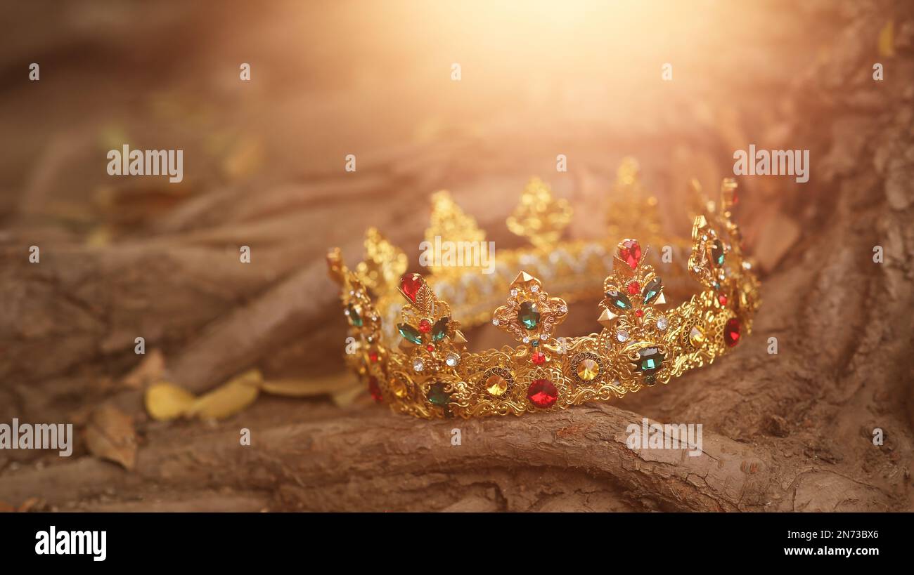 Beautiful golden crown on tree roots outdoors. Fantasy item Stock Photo ...