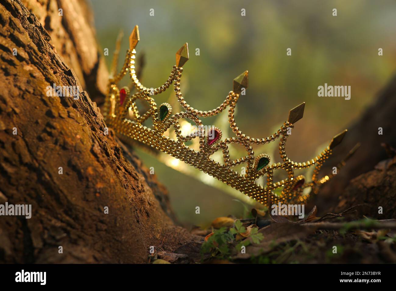 Golden beautiful crown hi-res stock photography and images - Alamy