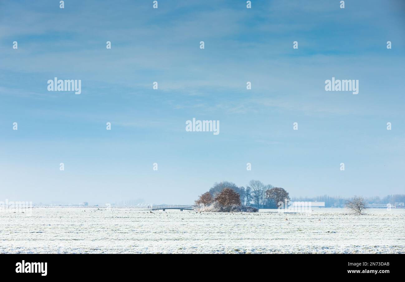 Desolate Winter Landscape