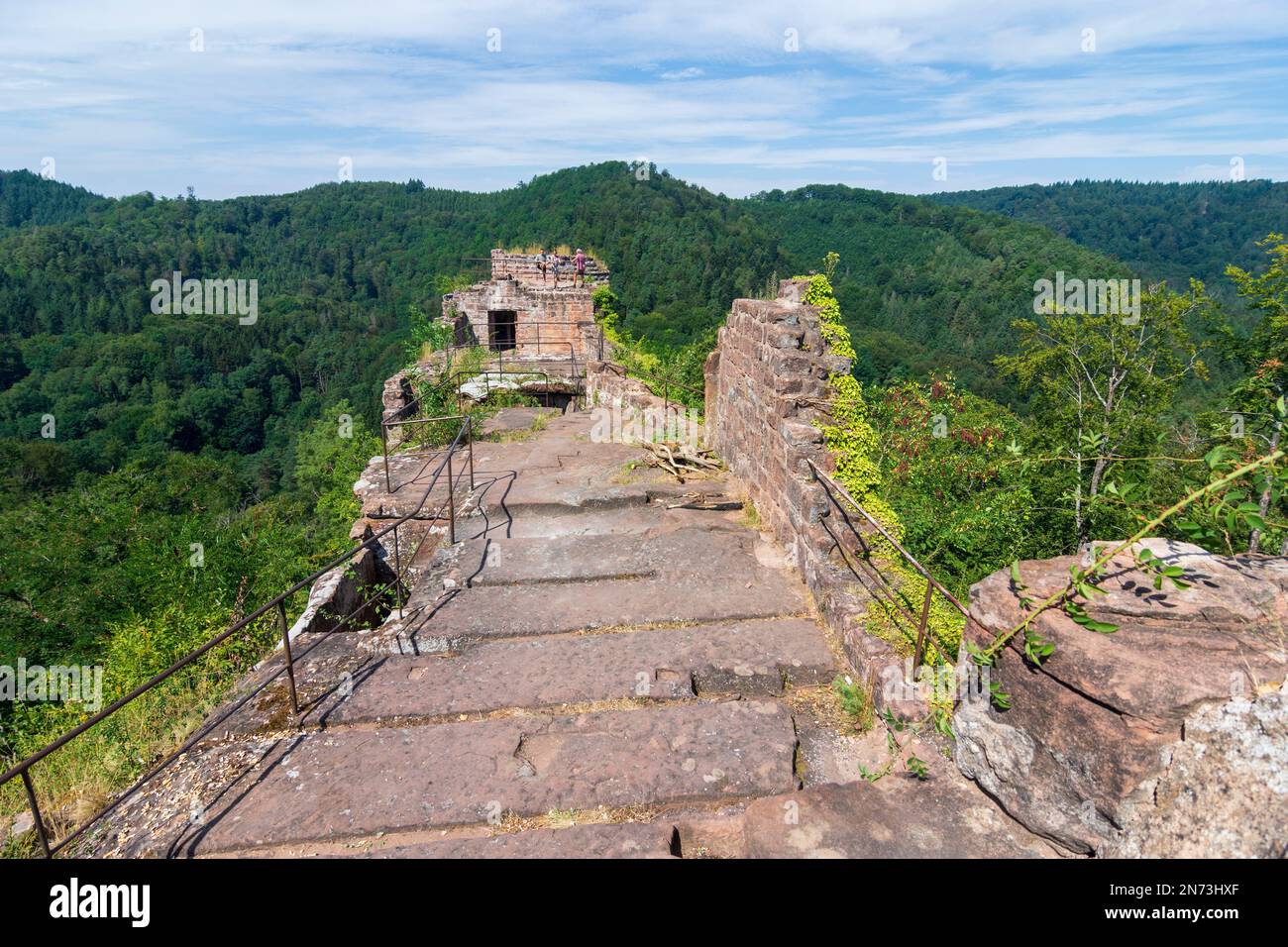 Pfalzerwald vosges du nord hi-res stock photography and images - Alamy