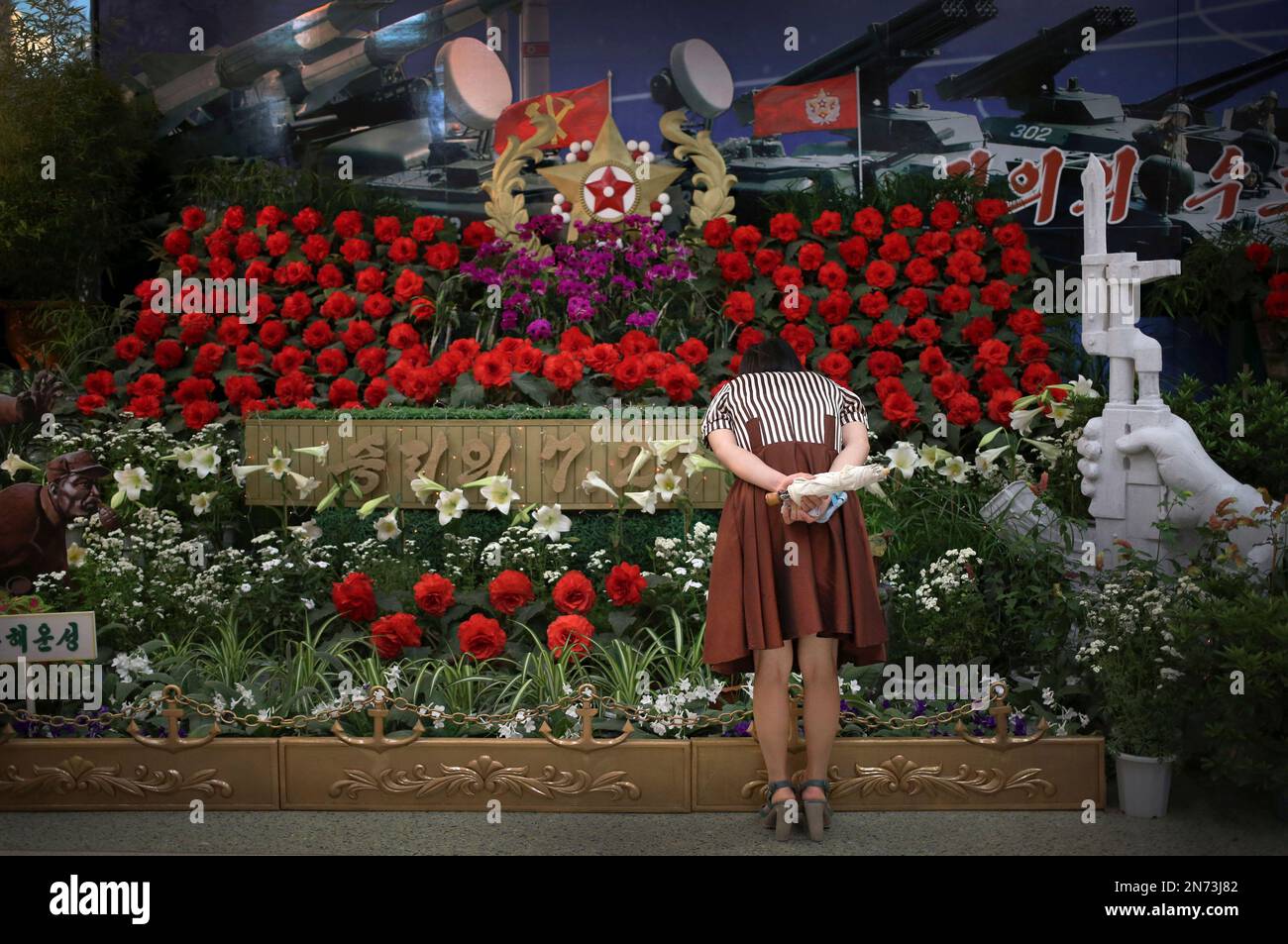 A North Korean woman examines a display of Kimjongilia and Kimilsungia ...