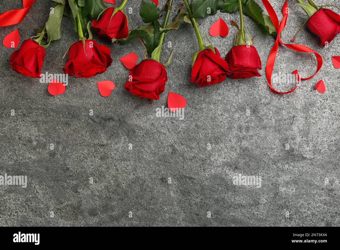 Red rose with grey color background hi-res stock photography and images ...
