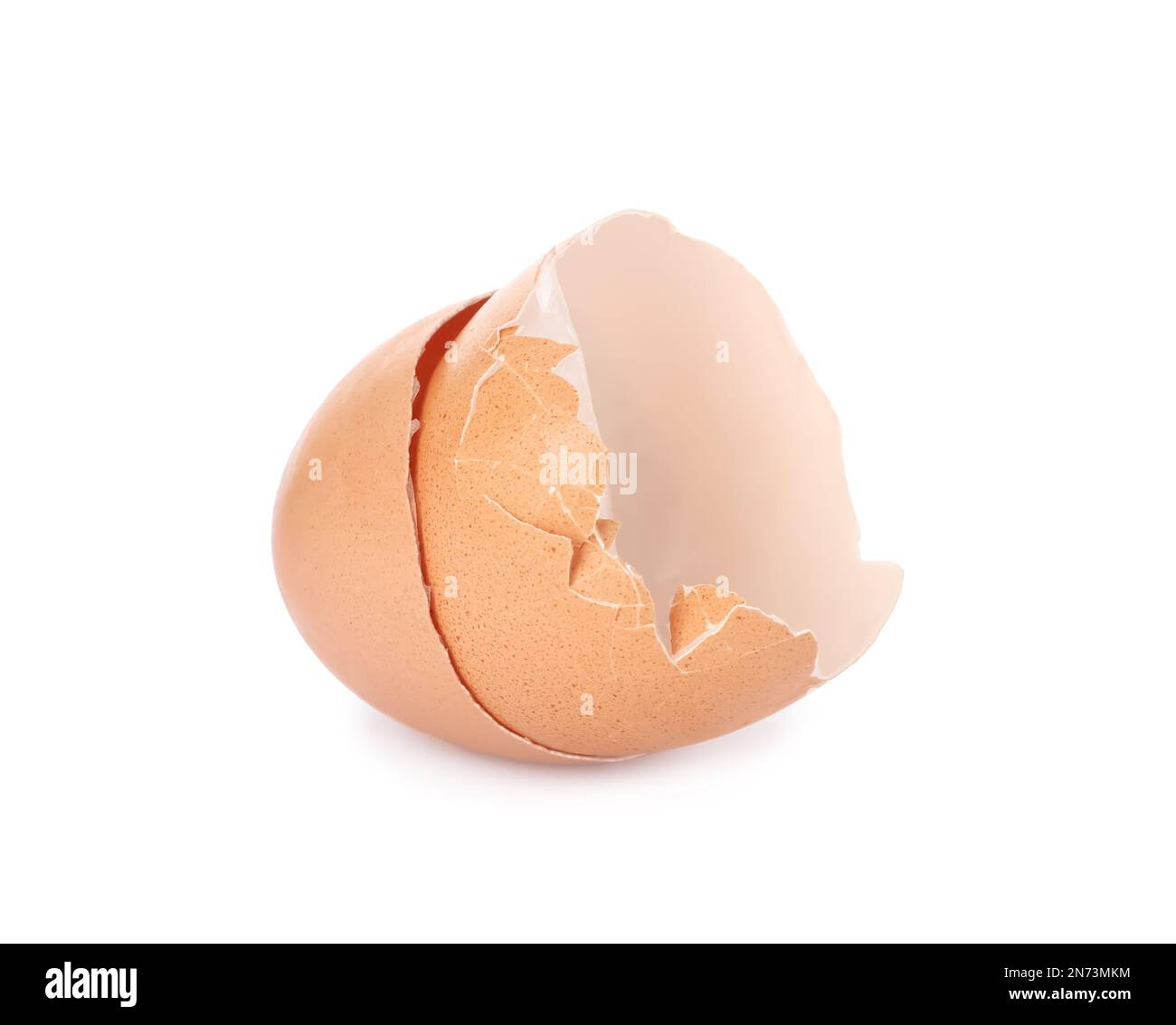 Egg shells on white background. Composting of organic waste Stock Photo ...