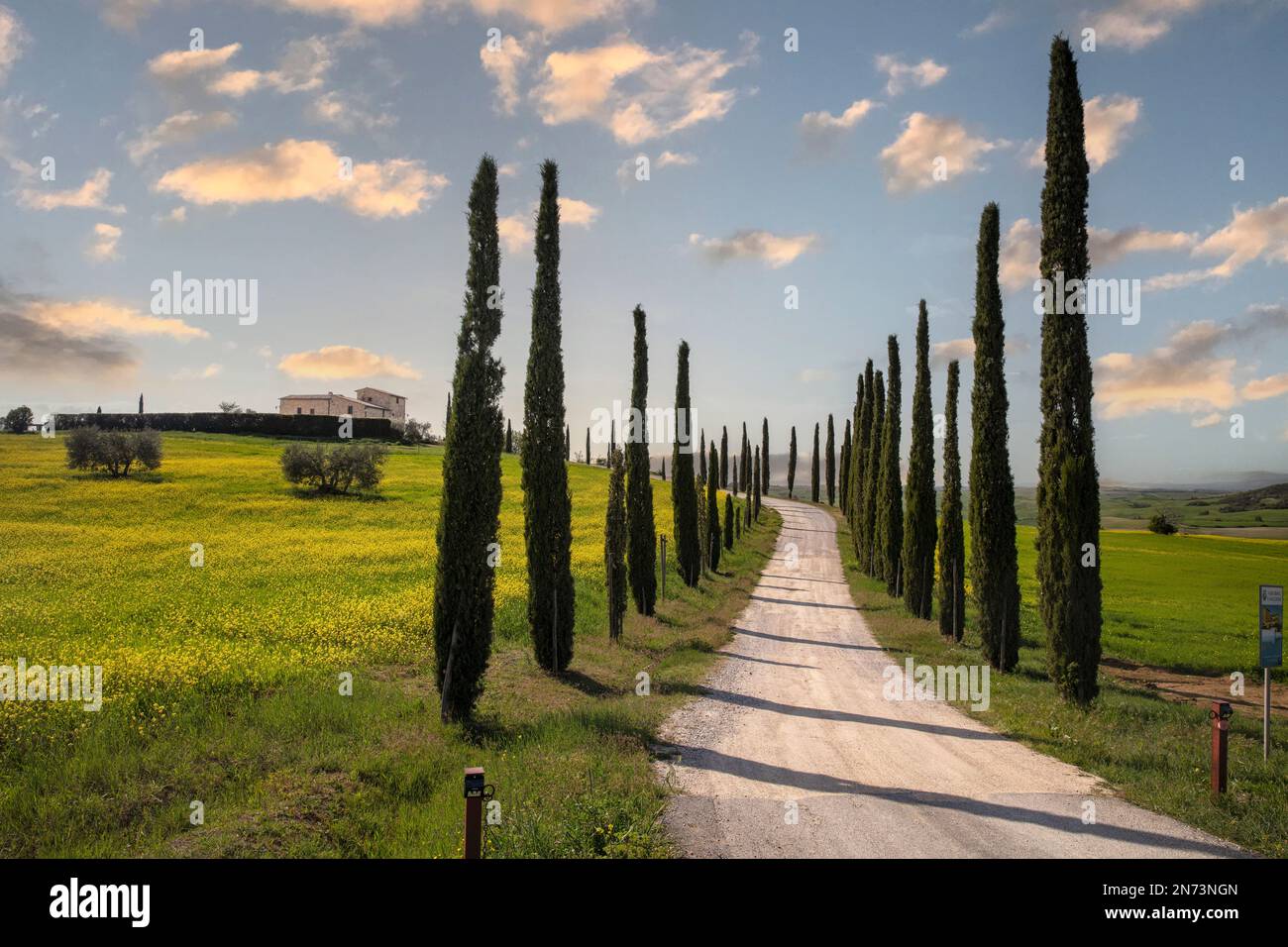Italy, Tuscany, cultural landscape, farm, agriculture Stock Photo - Alamy
