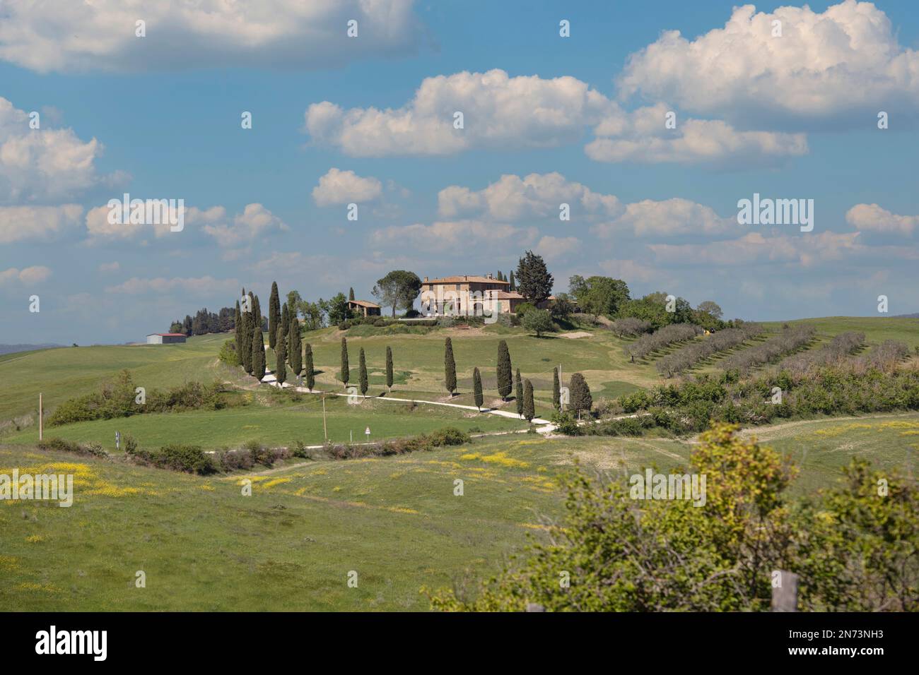 Italy, Tuscany, cultural landscape, farm, agriculture Stock Photo - Alamy