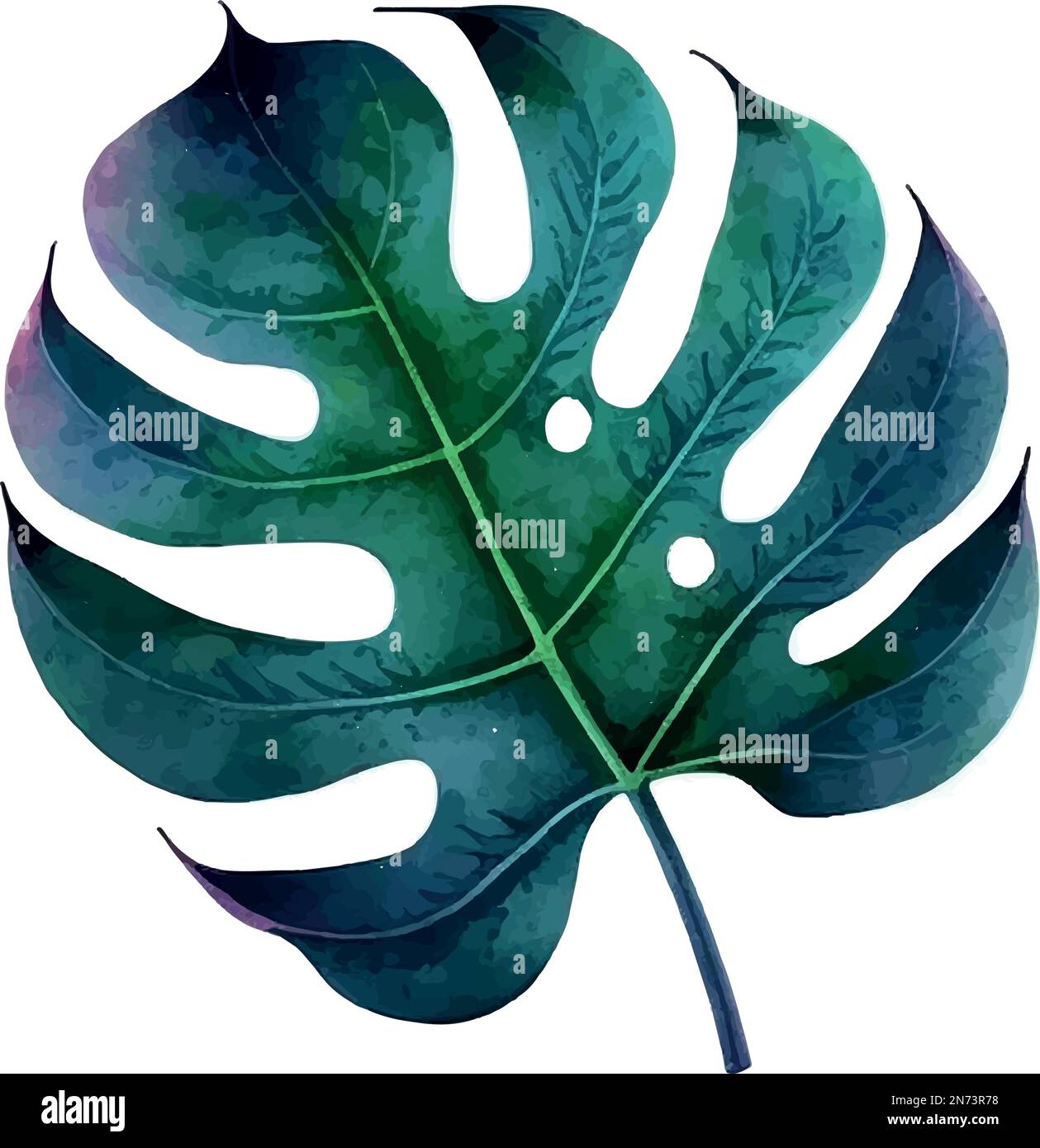 vector tropical leaf, monstera. watercolor illustration of an exotic ...