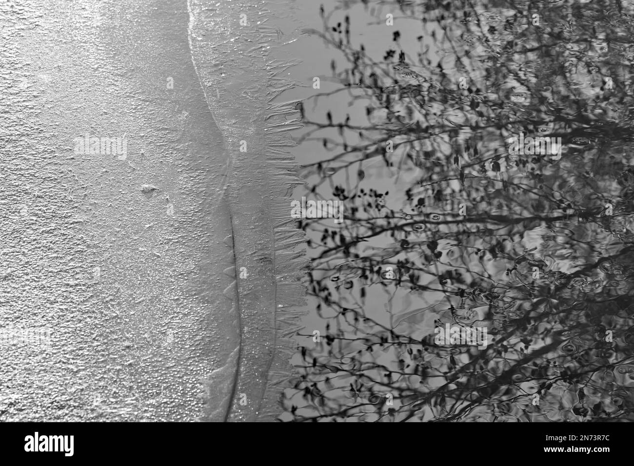 Winter, shore, ice, reflection Stock Photo - Alamy