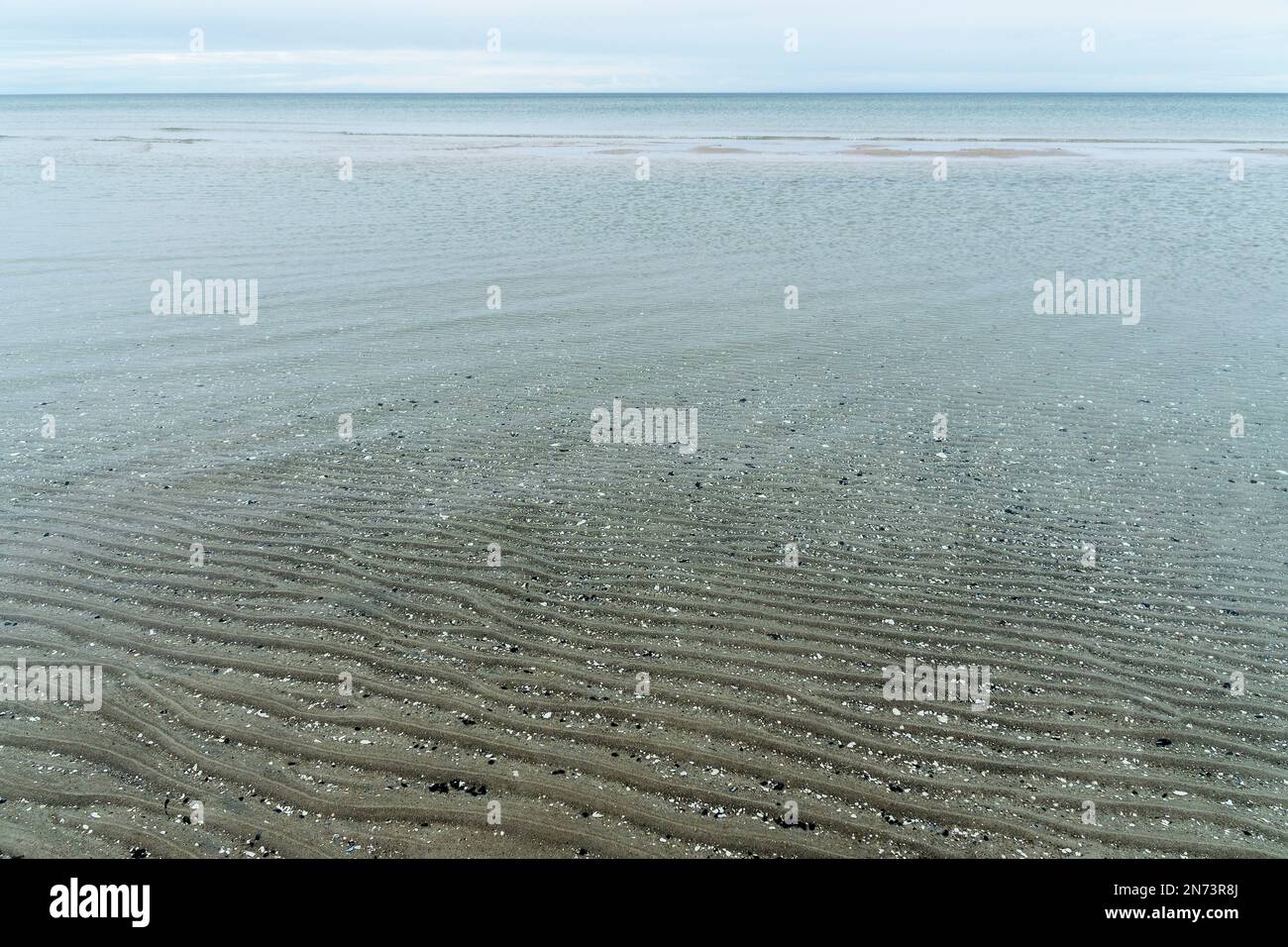 Baltic Sea coast near Prerow, shallow water with smooth surface, wavy ...