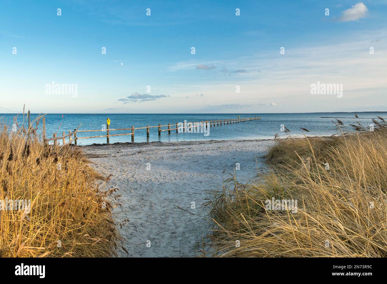 National Park Vorpommersche Boddenlandschaft, Baltic Sea coast ...