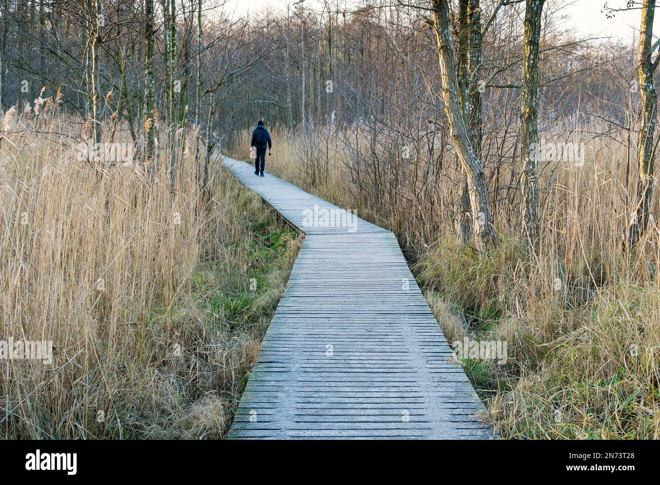 Round hiking trail darsser ort hi-res stock photography and images - Alamy