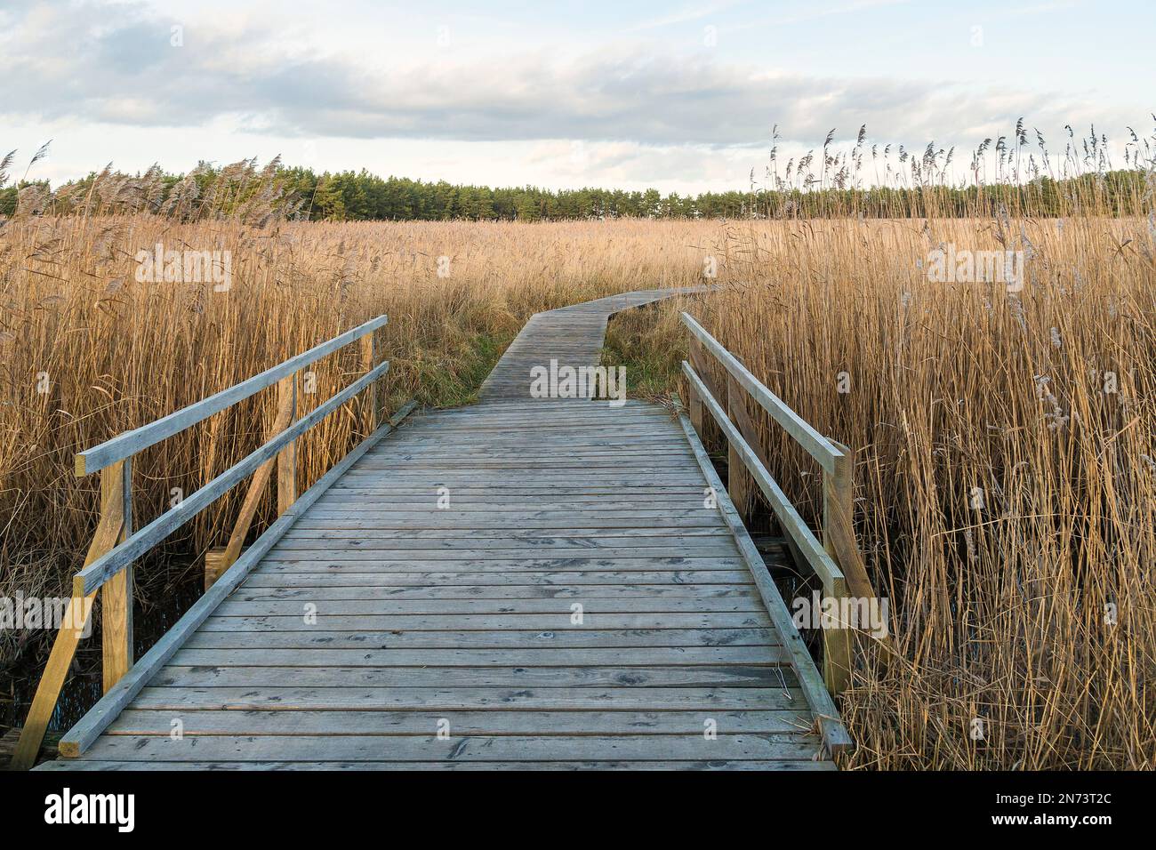 National Park Vorpommersche Boddenlandschaft, circular hiking trail ...