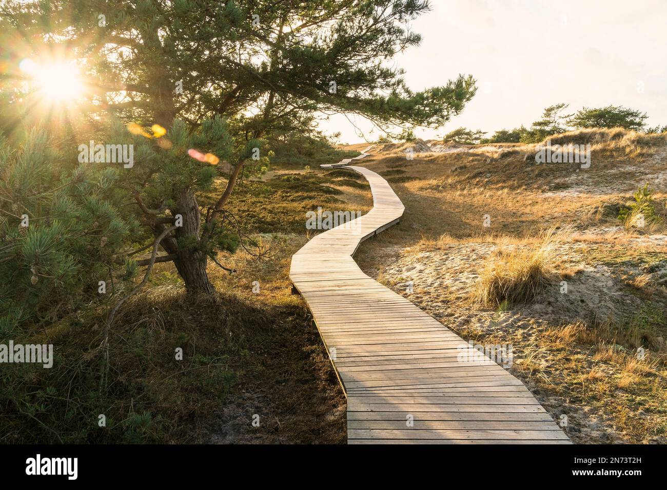 National Park Vorpommersche Boddenlandschaft, circular hiking trail ...