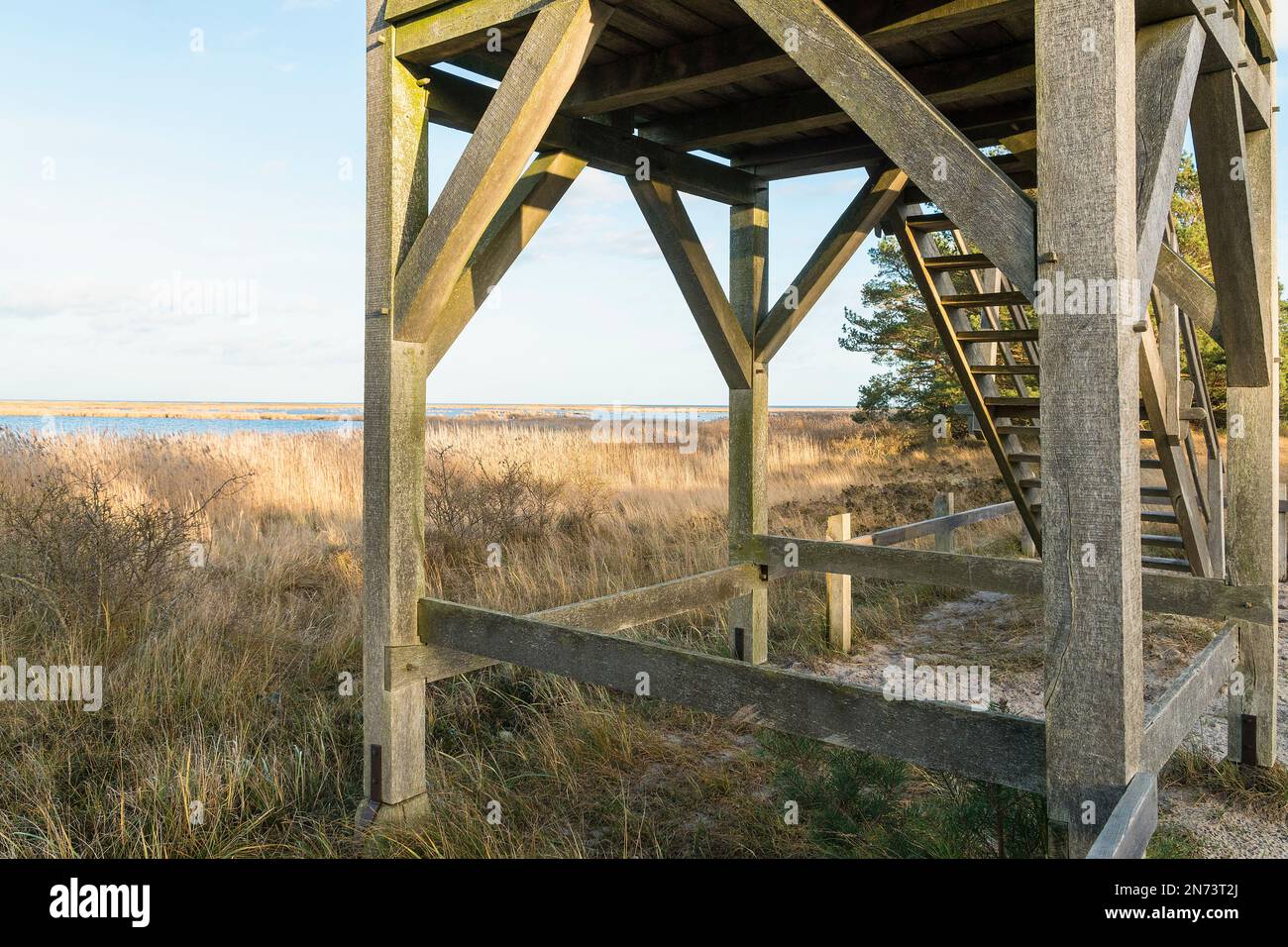 National Park Vorpommersche Boddenlandschaft, circular hiking trail ...