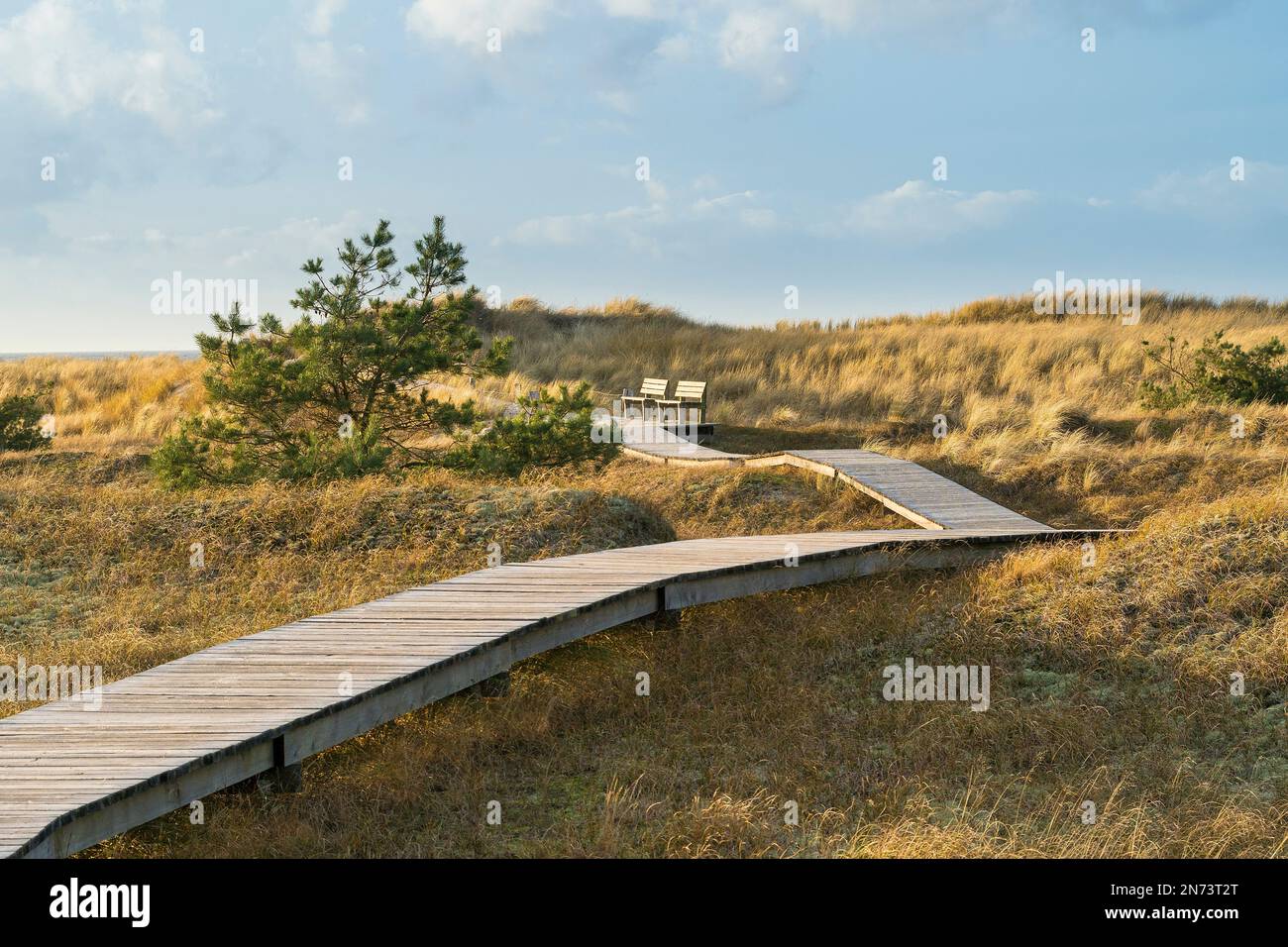 National Park Vorpommersche Boddenlandschaft, circular hiking trail ...
