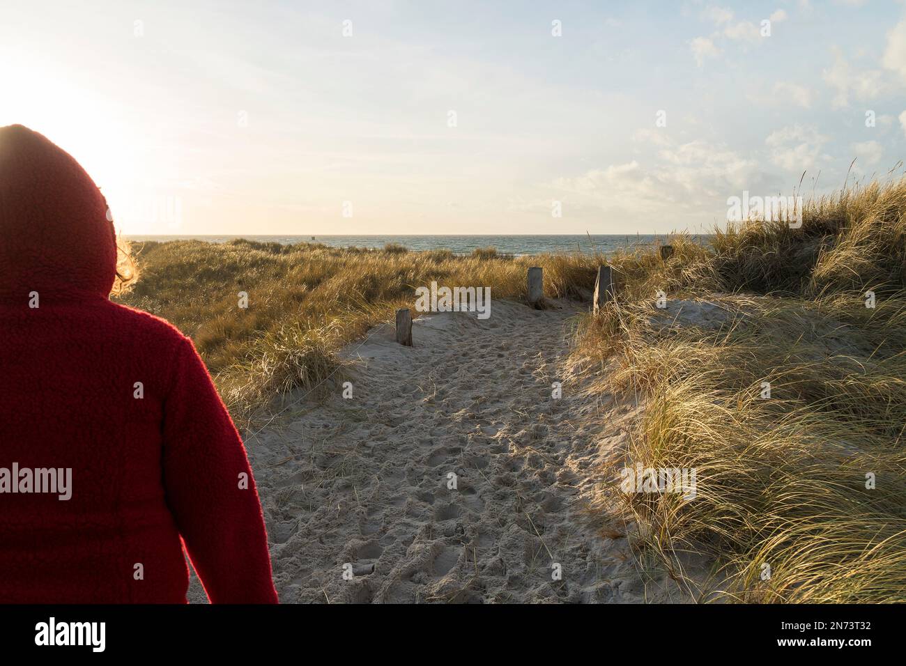 National Park Vorpommersche Boddenlandschaft, circular hiking trail ...
