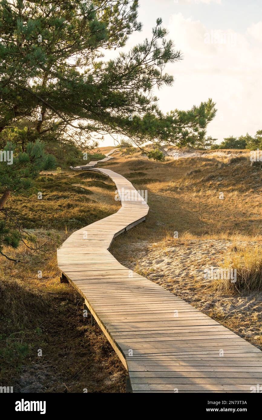 National Park Vorpommersche Boddenlandschaft, circular hiking trail ...