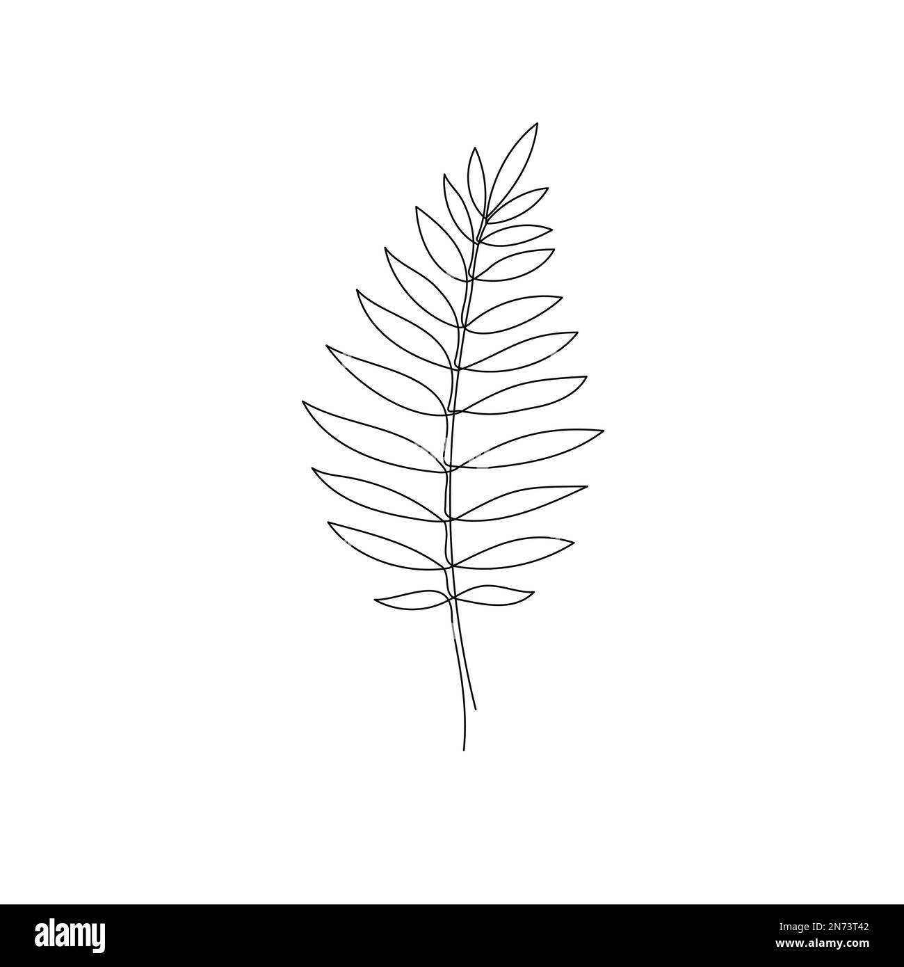 Line bay laurel leaf branch art. One continuous line art decorative bay ...