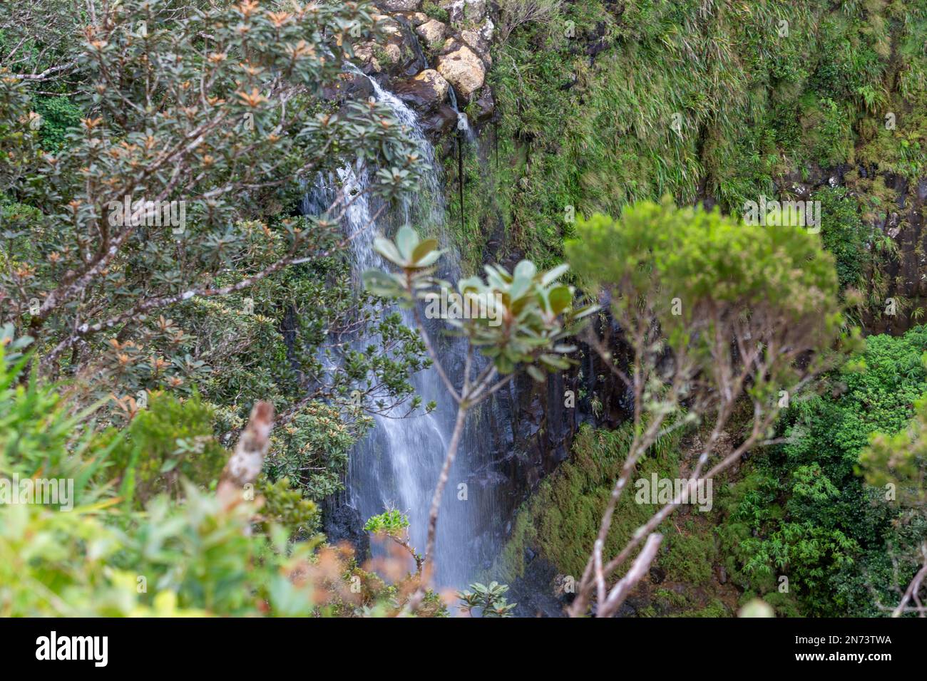 Waterfall at Alexandra Falls, Mauritius Island, Africa Stock Photo - Alamy