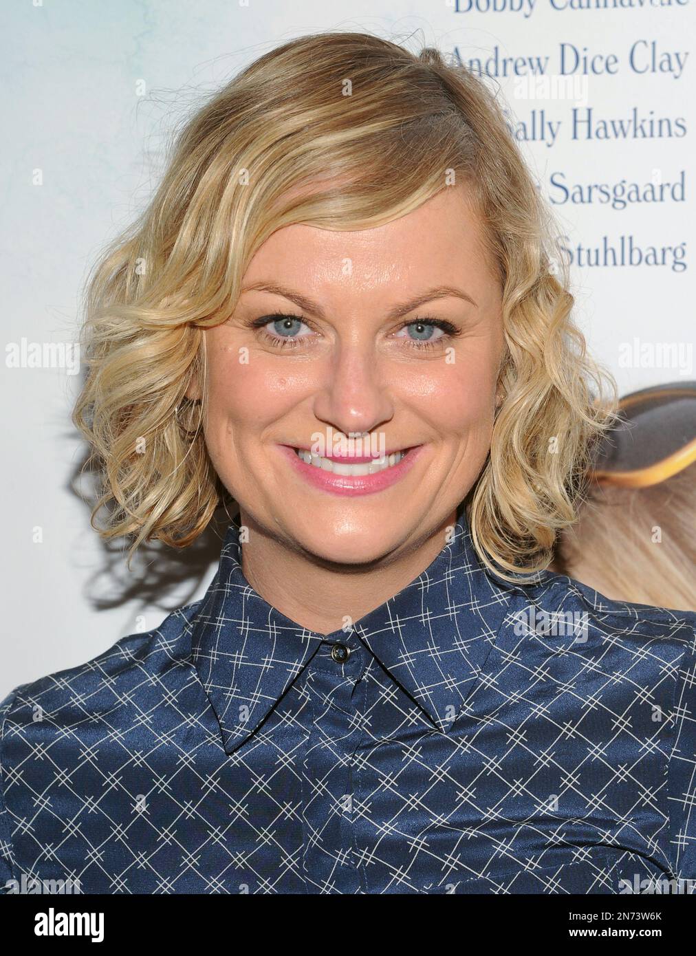Actress Amy Poehler attends the premiere of Sony Pictures Classics ...