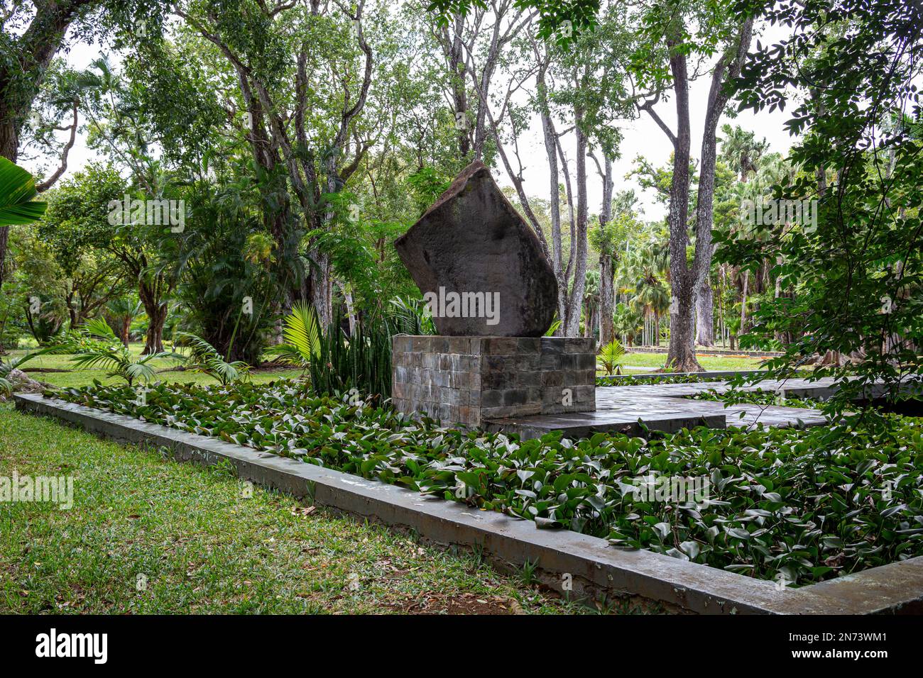 Some Trees at Sir Seewoosagur Ramgoolam Botanical Garden, Mauritius ...