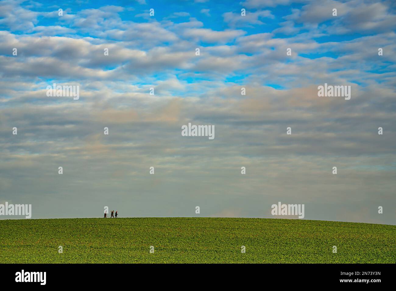 Sterley duchy of lauenburg county hi-res stock photography and images ...