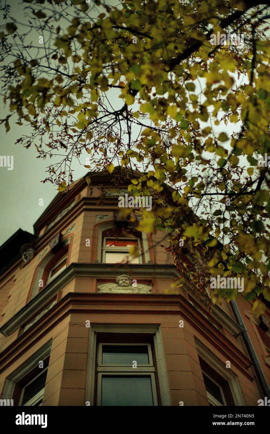 Old villa behind a bushy branch of a tree hi-res stock photography and ...