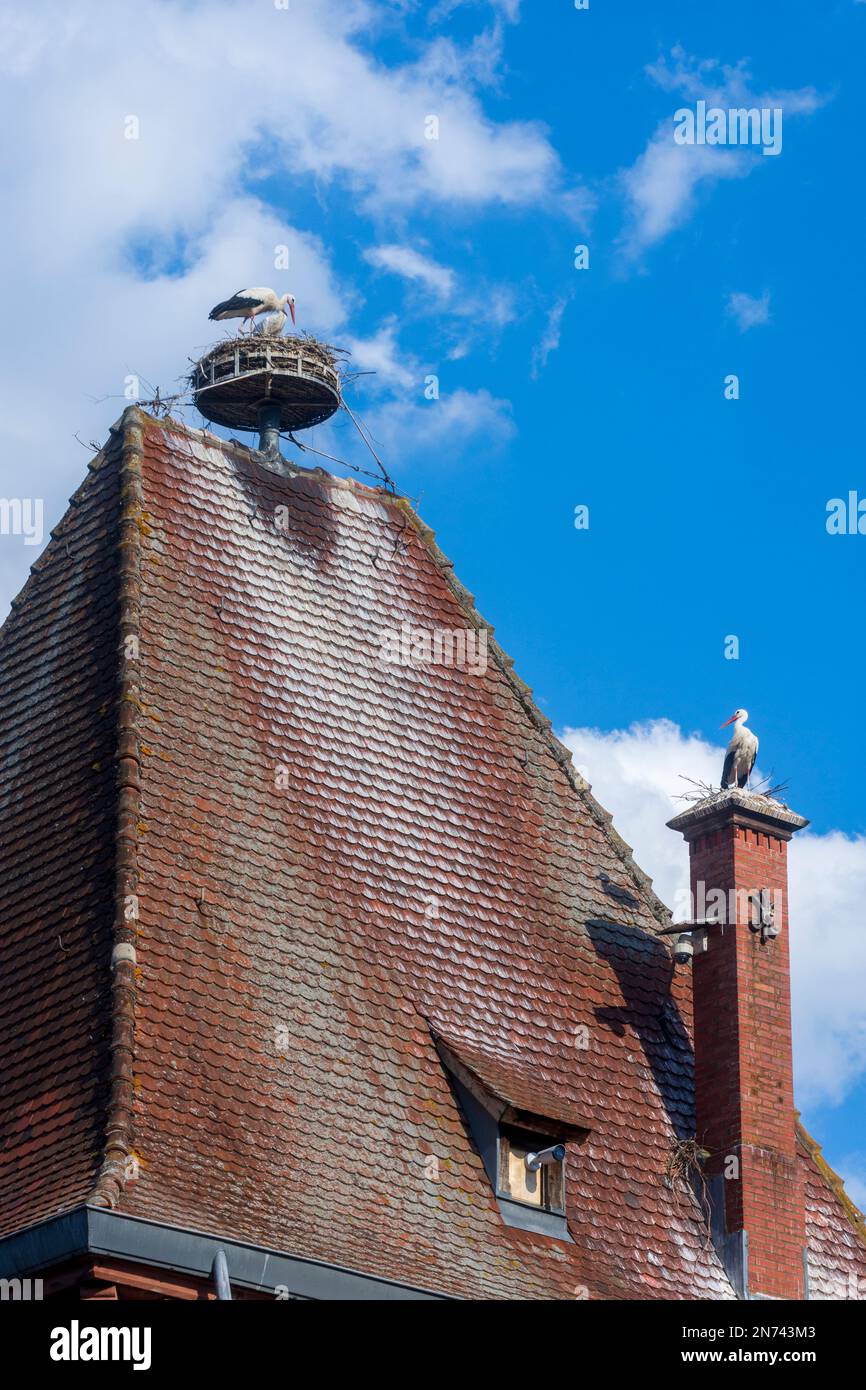 Munster munster im elsass hi-res stock photography and images - Alamy