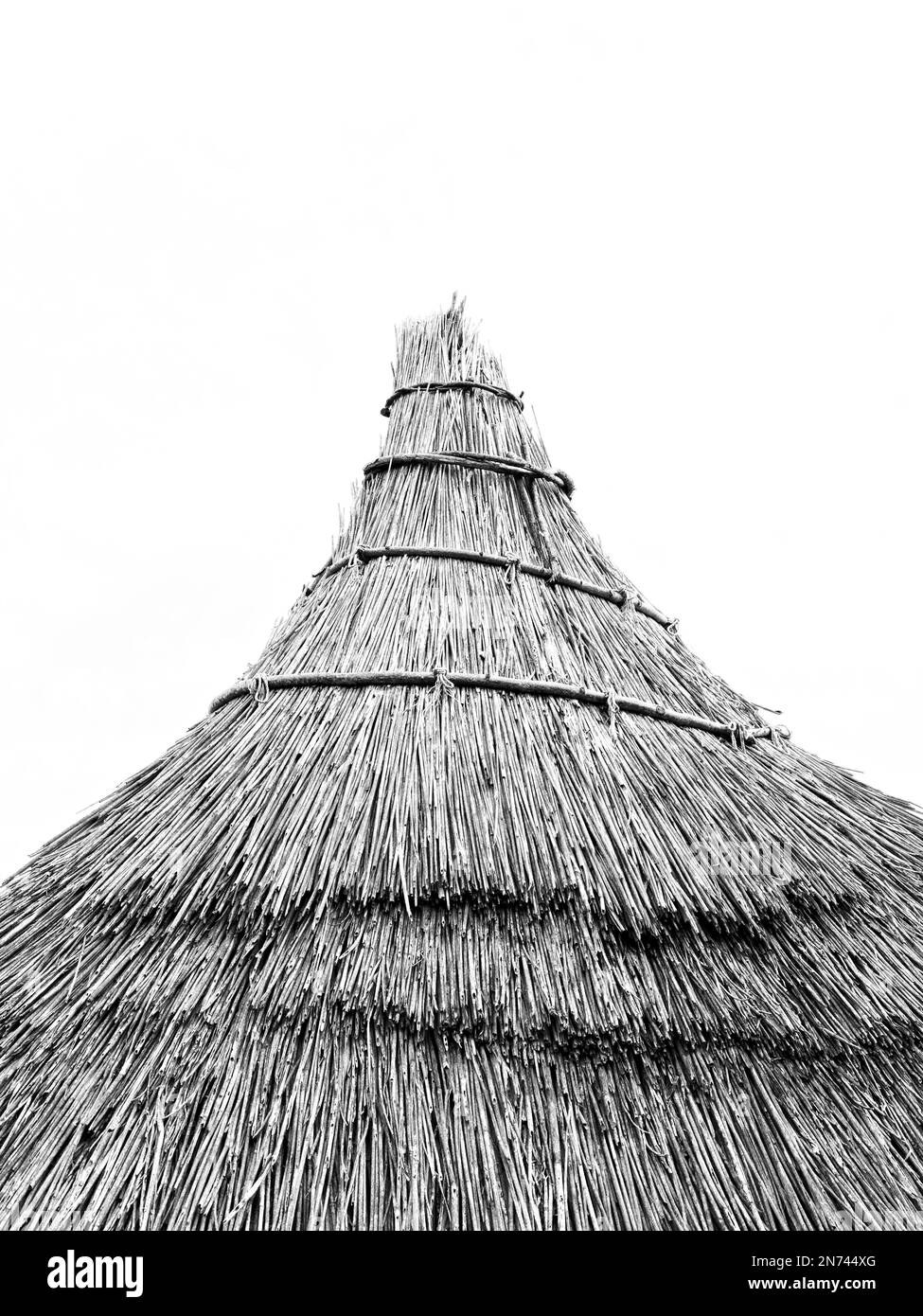 Ppt Neolithic Revolution 10000 8000 Bce Powerpoint