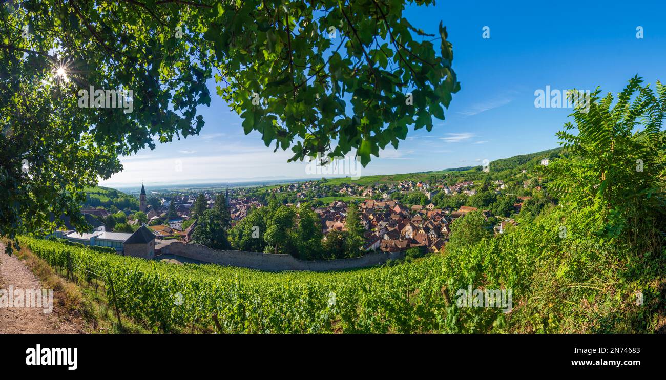 Rappschwihr in alsace elsass hi-res stock photography and images - Alamy