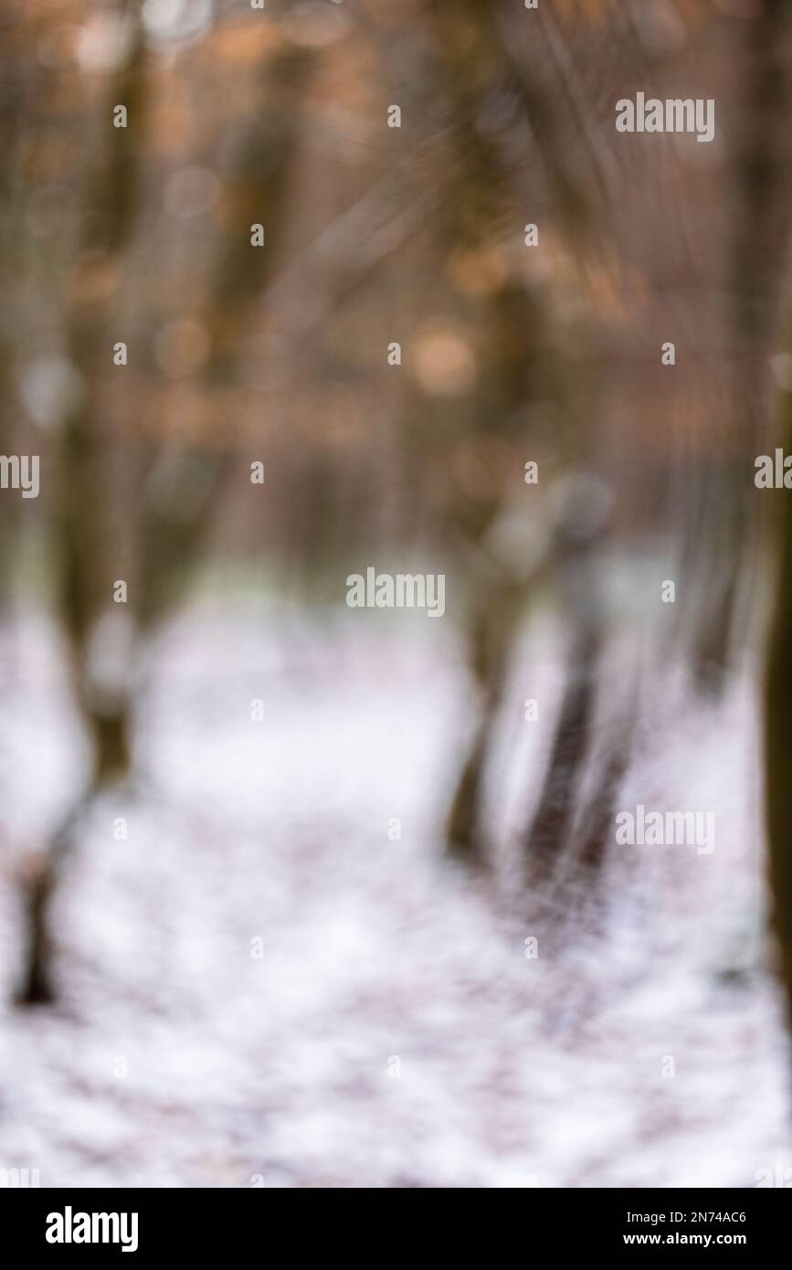 Abstract blurry forest background hi-res stock photography and images ...