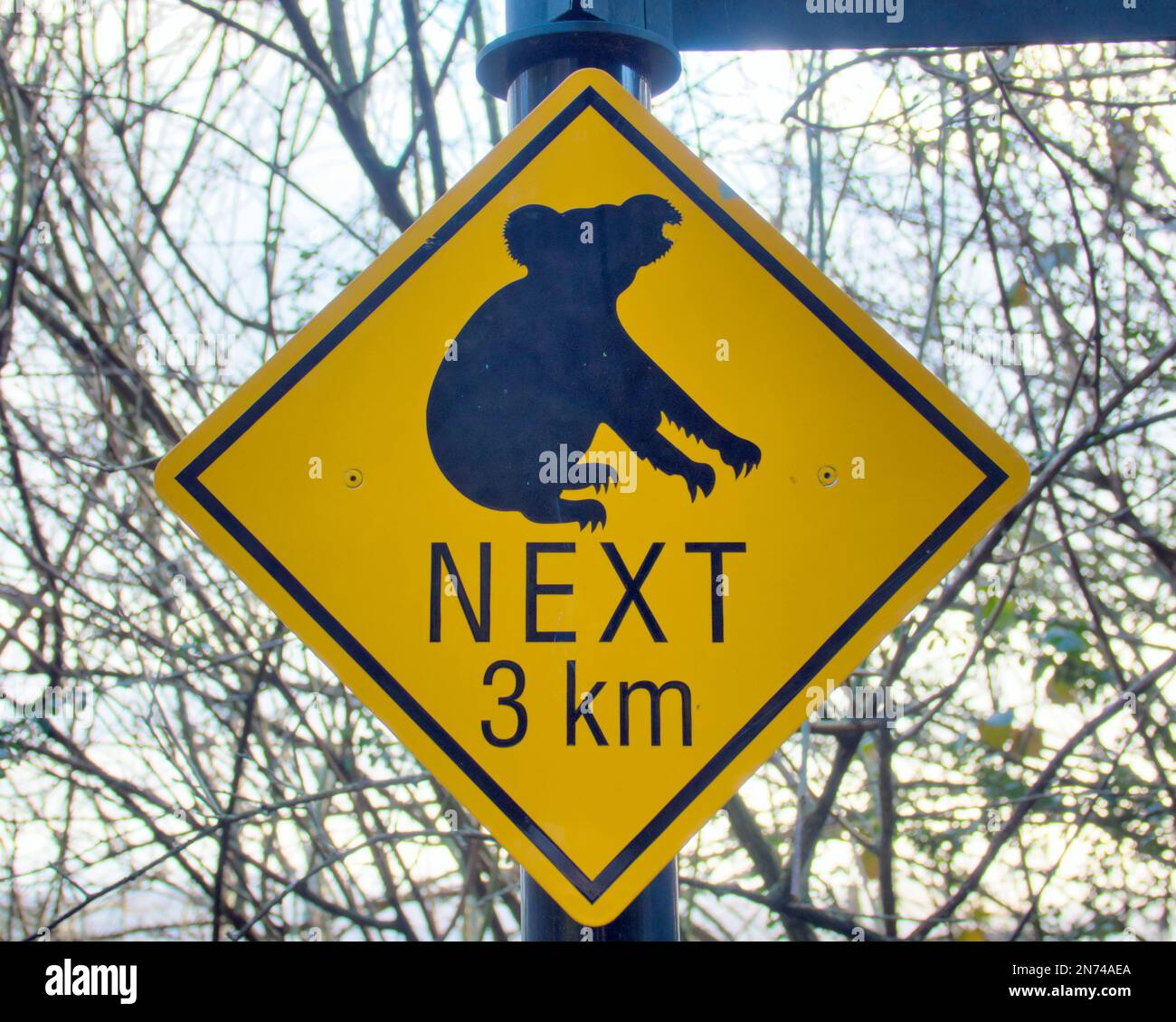 Wombat warning sign hi-res stock photography and images - Alamy