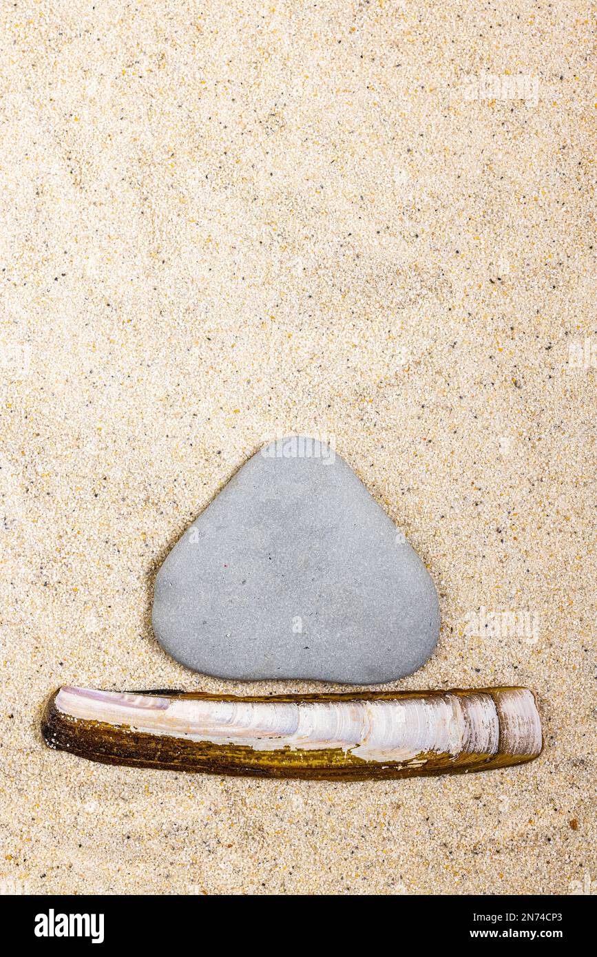 Sword shaped scabbard shell and a stone together form a sailing ship ...