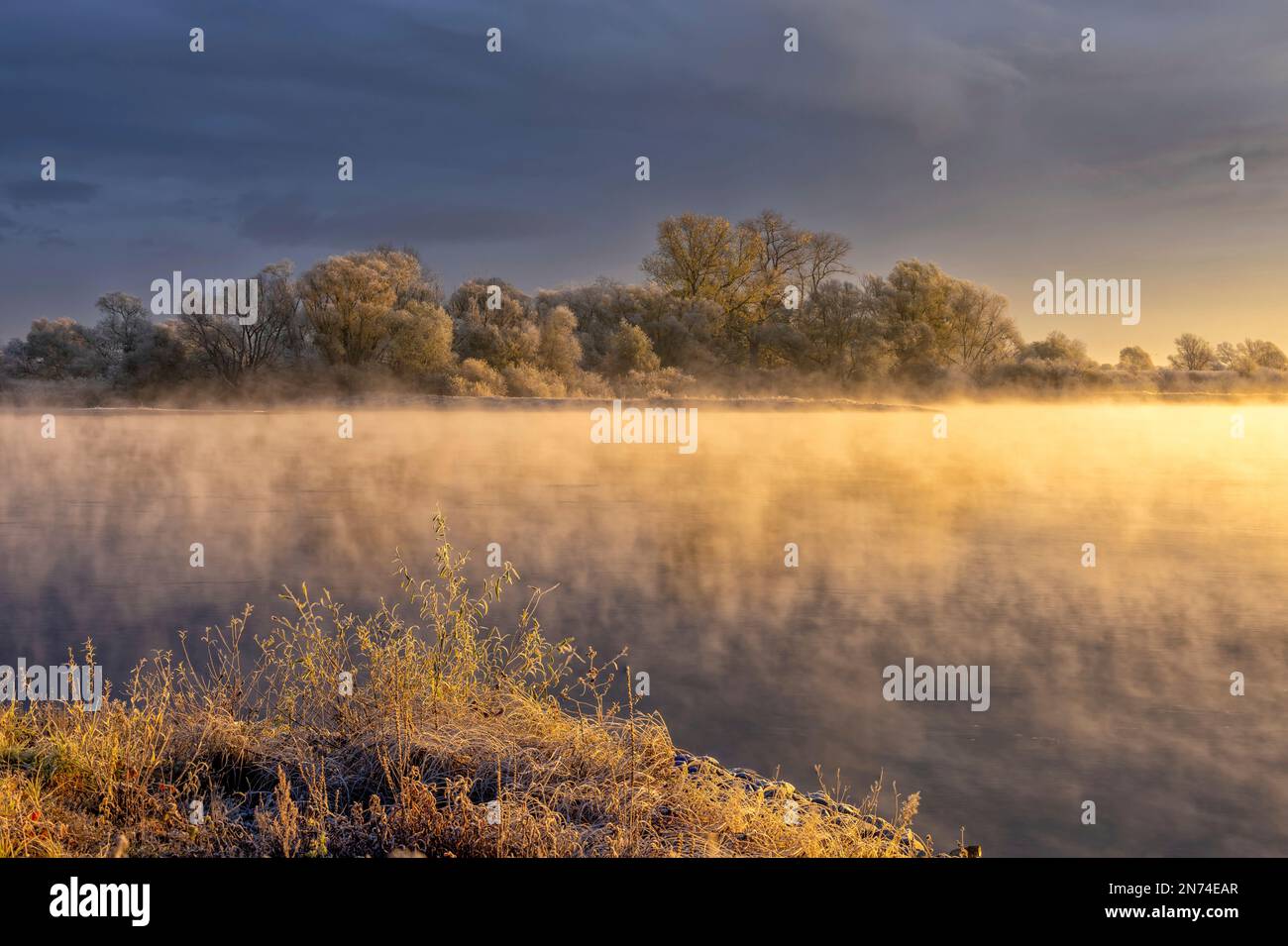 A frosty and sunny winter morning on the Elbe with fog over the water ...