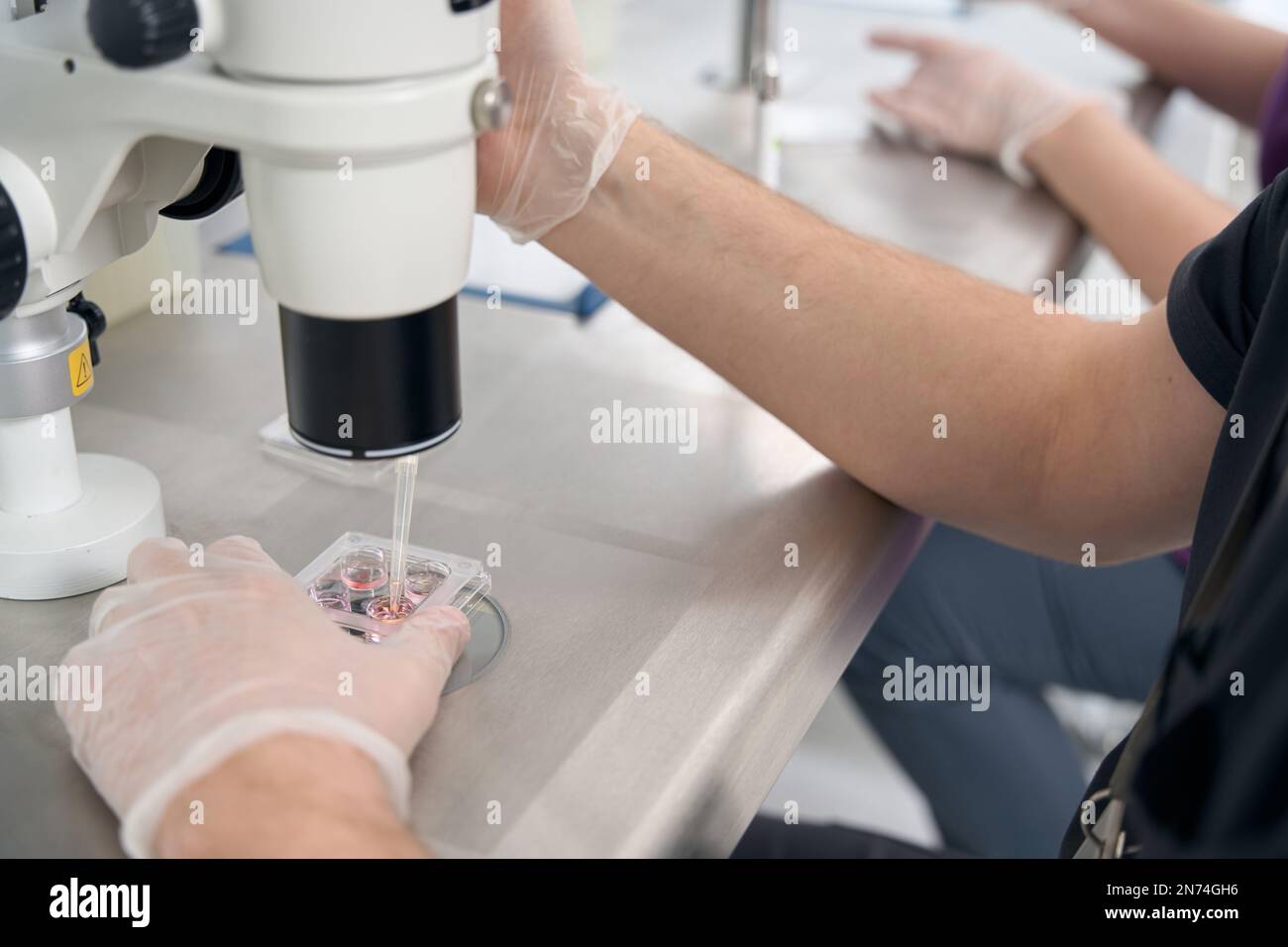 Man examines biomaterial collected in embryonic blocks under powerful ...