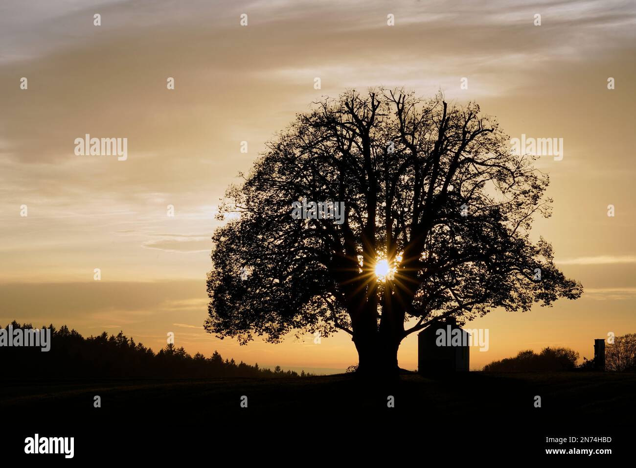 Germany, Bavaria, Upper Bavaria, Altötting district, Erlbach, Vilsecker ...