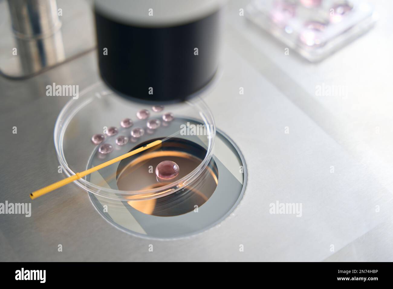Embryonic block hi-res stock photography and images - Alamy