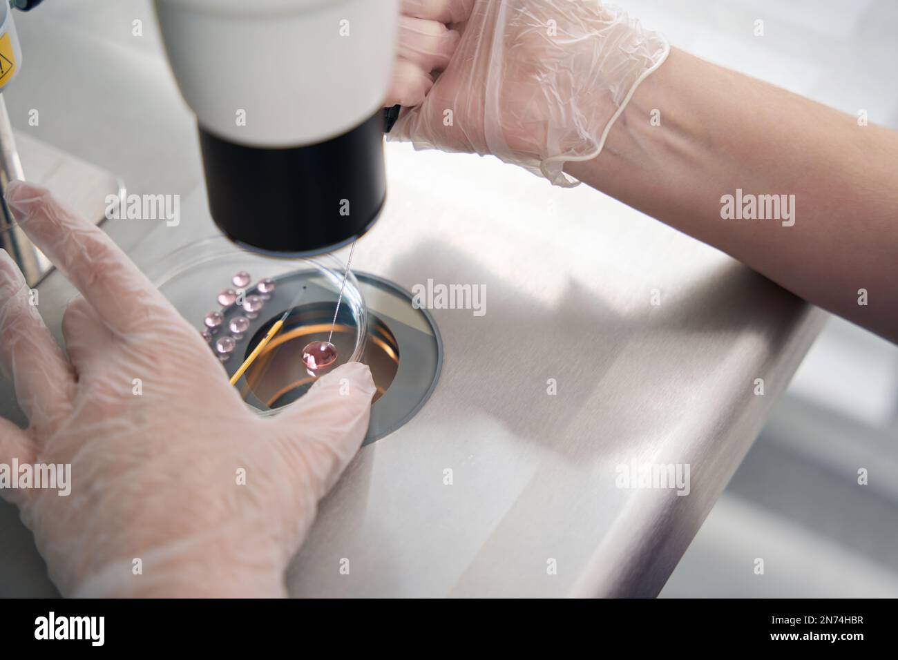 Scientist embryologist puts the embryos into special straw for ...