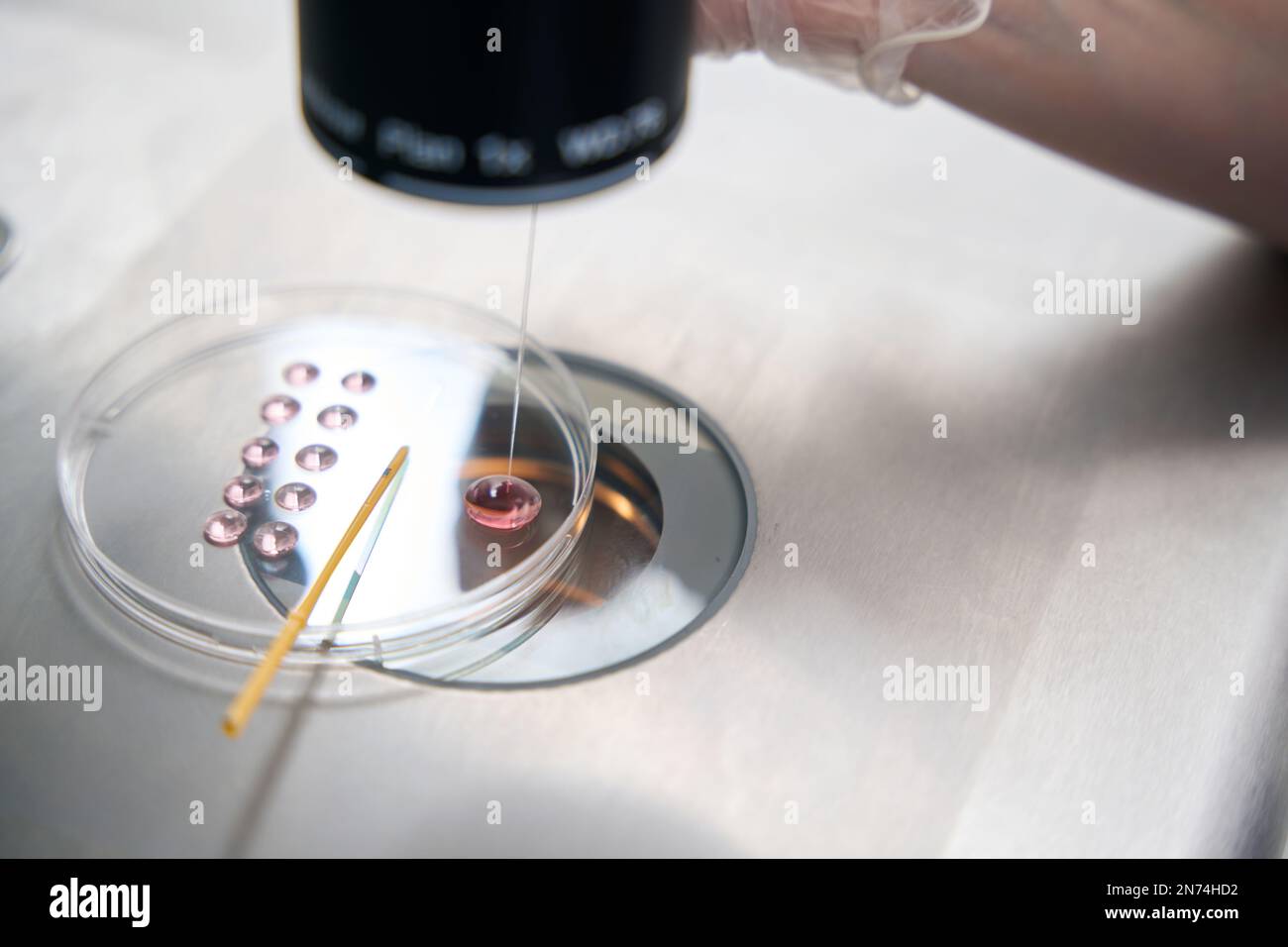 Embryo vitrification hi-res stock photography and images - Alamy