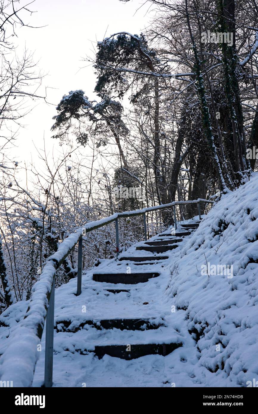 Germany, Bavaria, Upper Bavaria, Altötting district, Altöttinger Gries ...