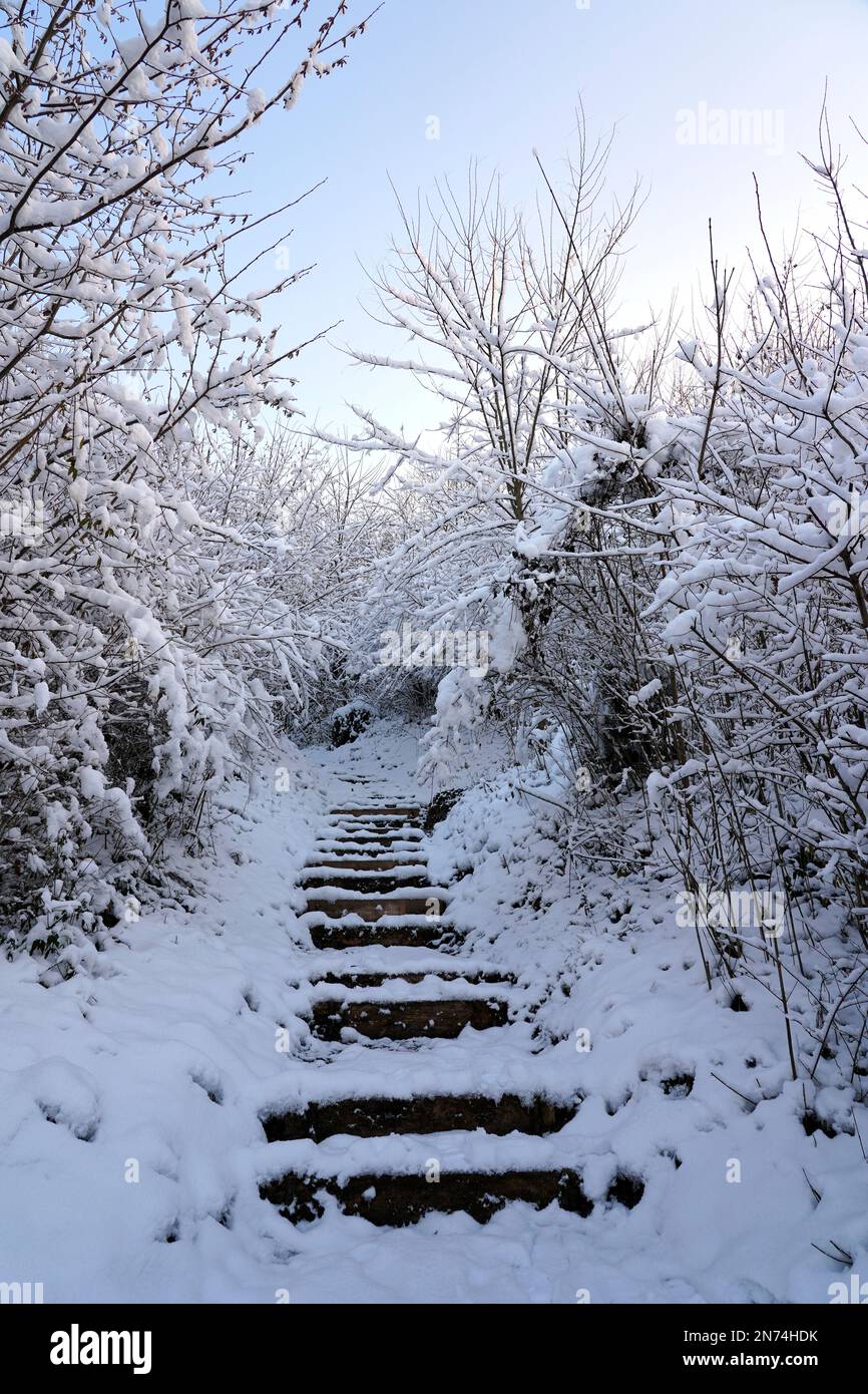 Germany, Bavaria, Upper Bavaria, Altötting district, Altöttinger Gries ...