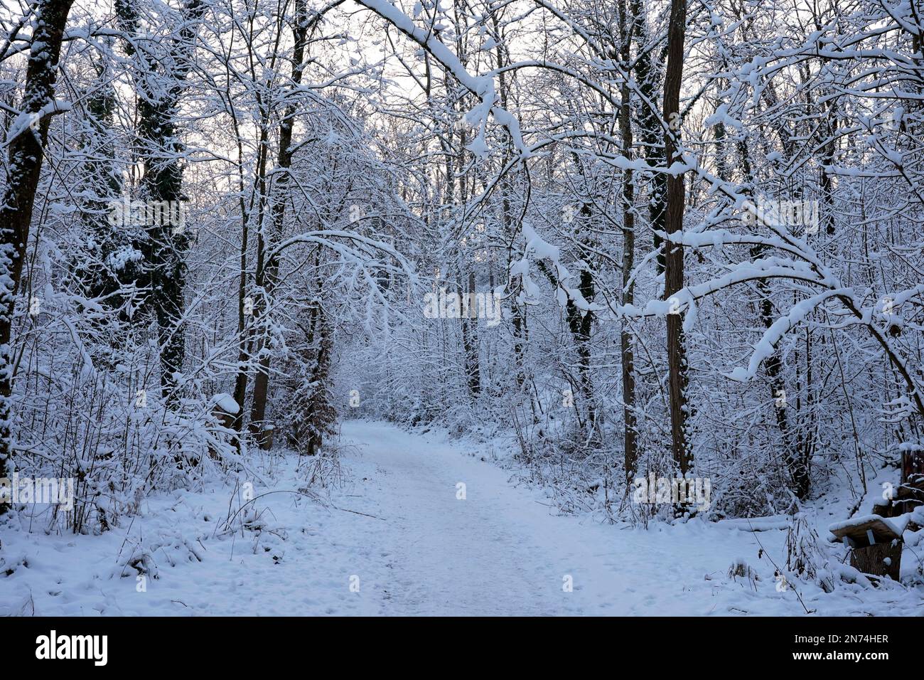 Altottinger gries recreation area hi-res stock photography and images ...