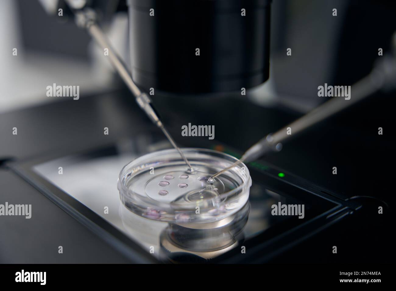 Micromanipulator hi-res stock photography and images - Alamy